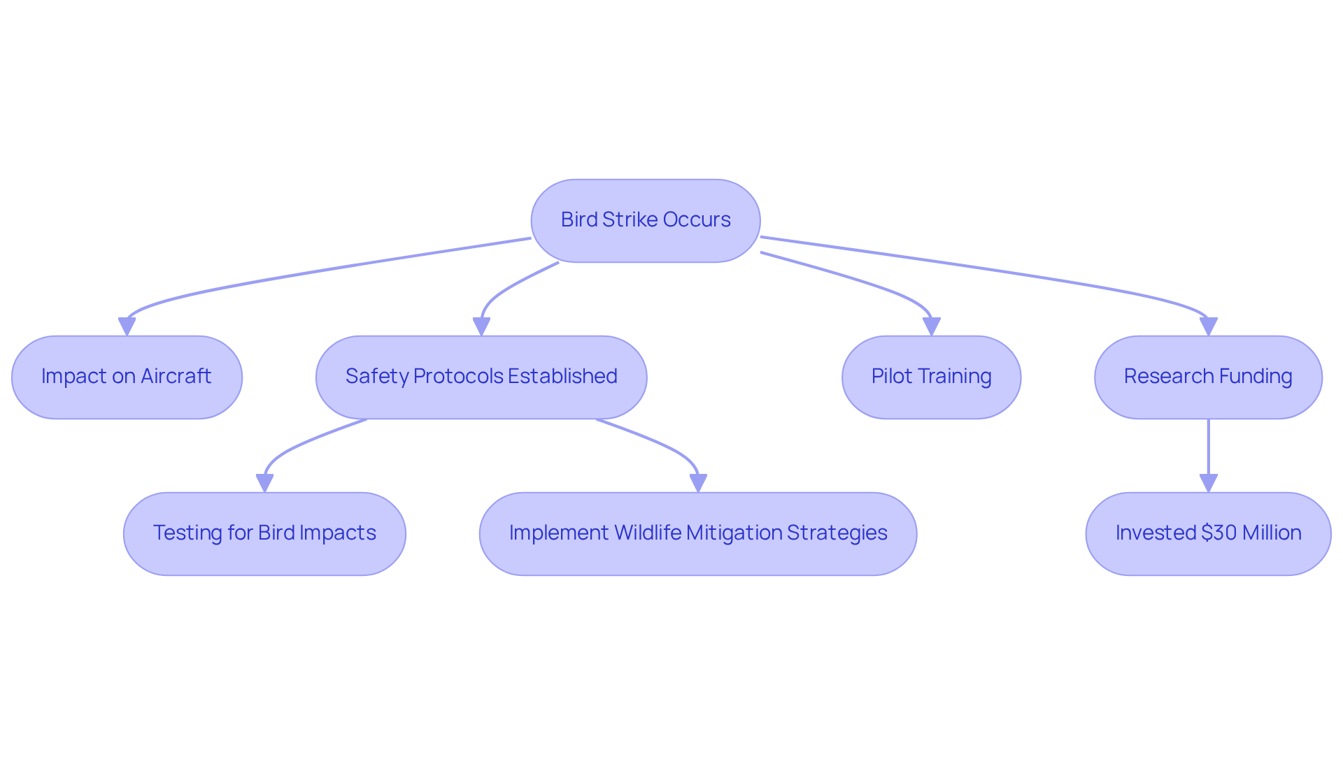 This flowchart shows the steps taken when a bird strike occurs, from the immediate impact on the aircraft to the safety measures implemented to prevent future incidents. Follow the arrows to see how each action connects to the next.