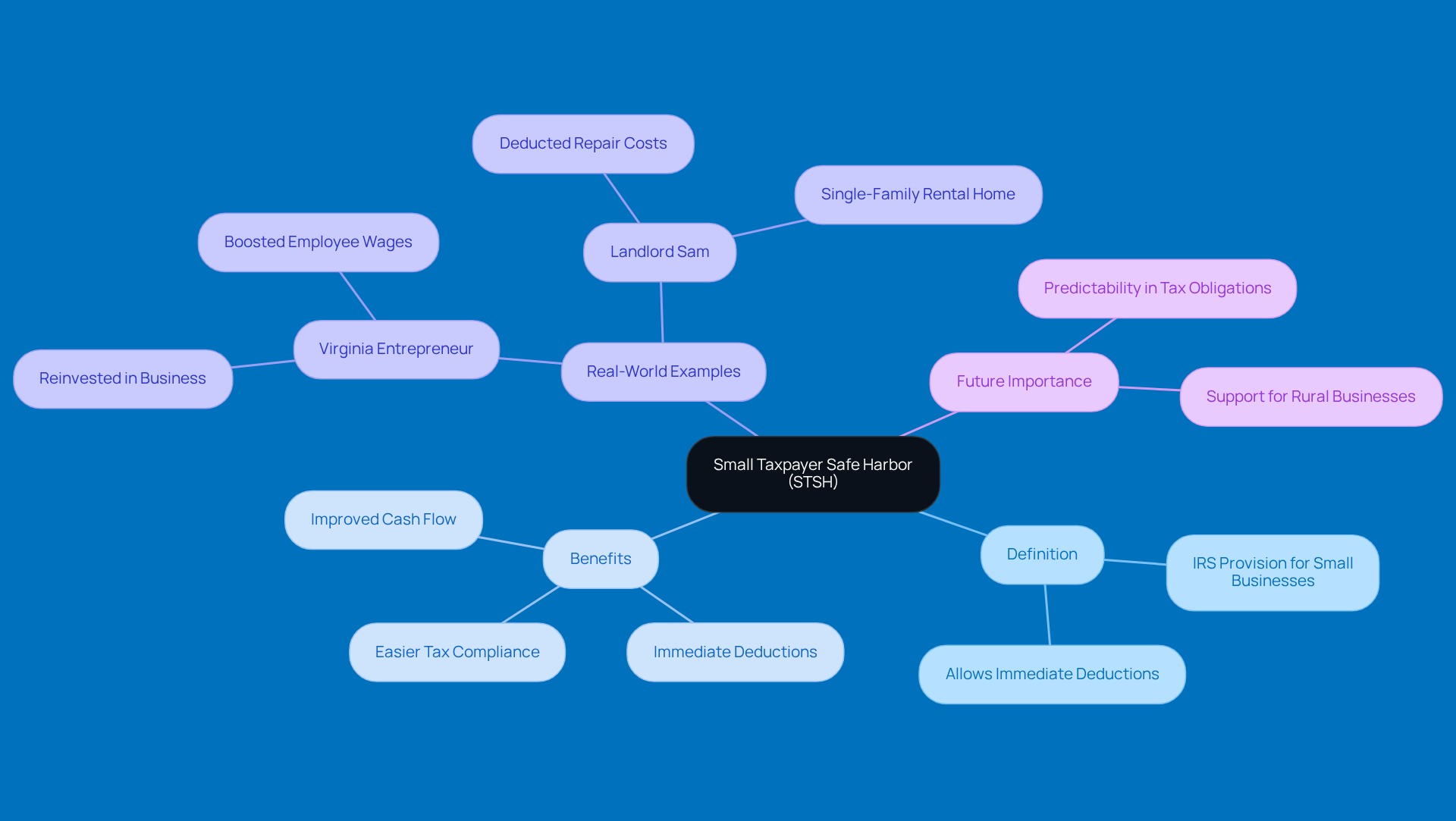 The central node represents the STSH, while the branches show its definition, benefits, examples, and future significance. Each branch helps you see how the STSH impacts small businesses and why it's important.