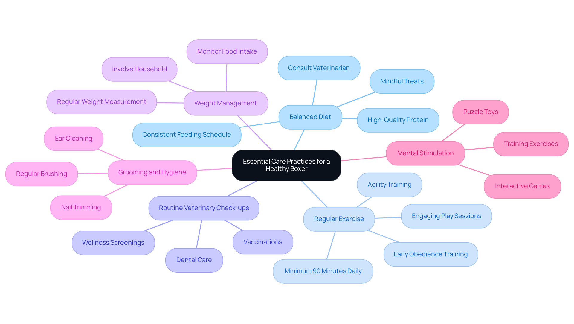 The center represents the main goal of keeping your Boxer healthy. Each branch points to a specific care practice, and the sub-branches provide actionable tips related to that practice.