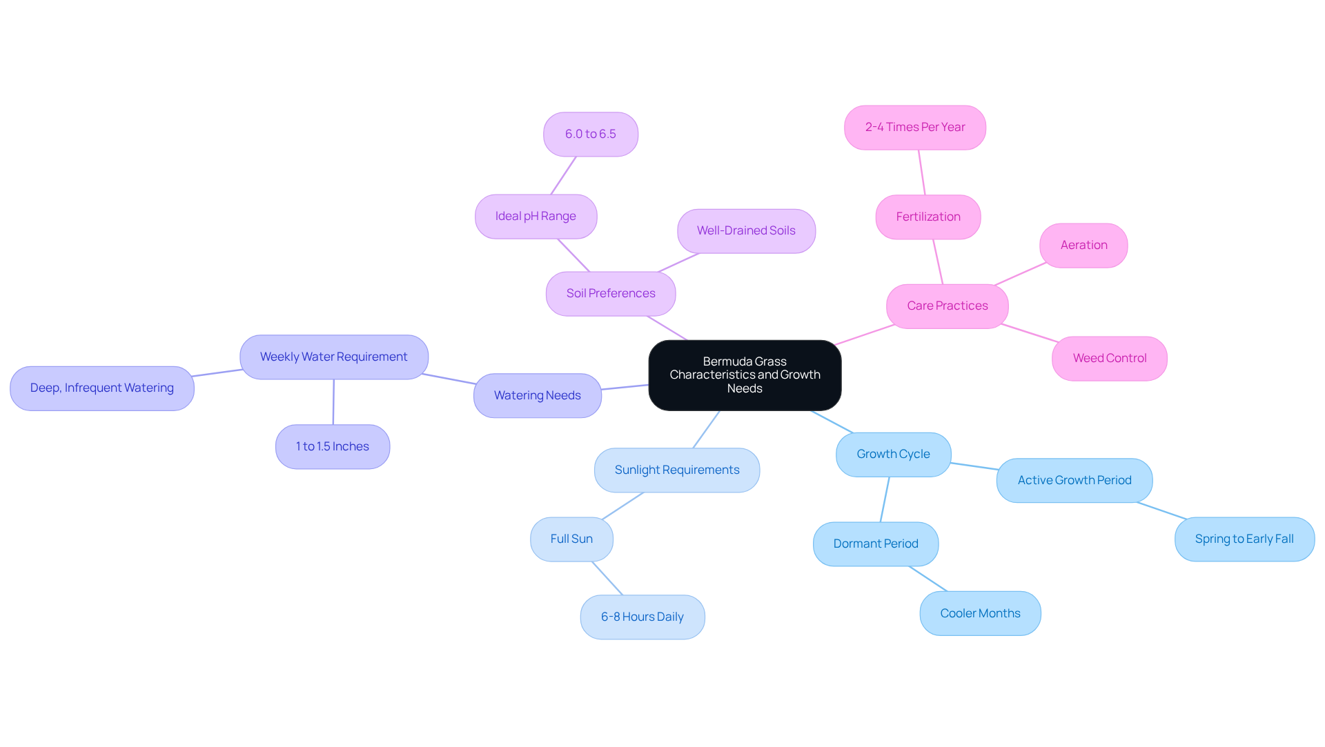 The central node represents Bermuda grass, while the branches show its growth needs and care practices. Each branch highlights important factors that contribute to a healthy lawn. The central node represents Bermuda grass, while the branches show its growth needs and care practices. Each branch highlights important factors that contribute to a healthy lawn.