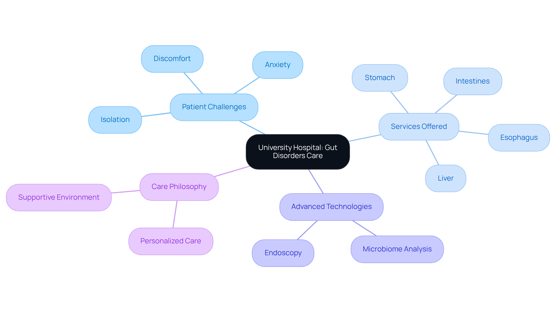 The central node represents the hospital's focus, while branches show the different aspects of care, challenges faced by patients, and the technologies used. Each color-coded branch helps you see how everything connects to improve patient outcomes.