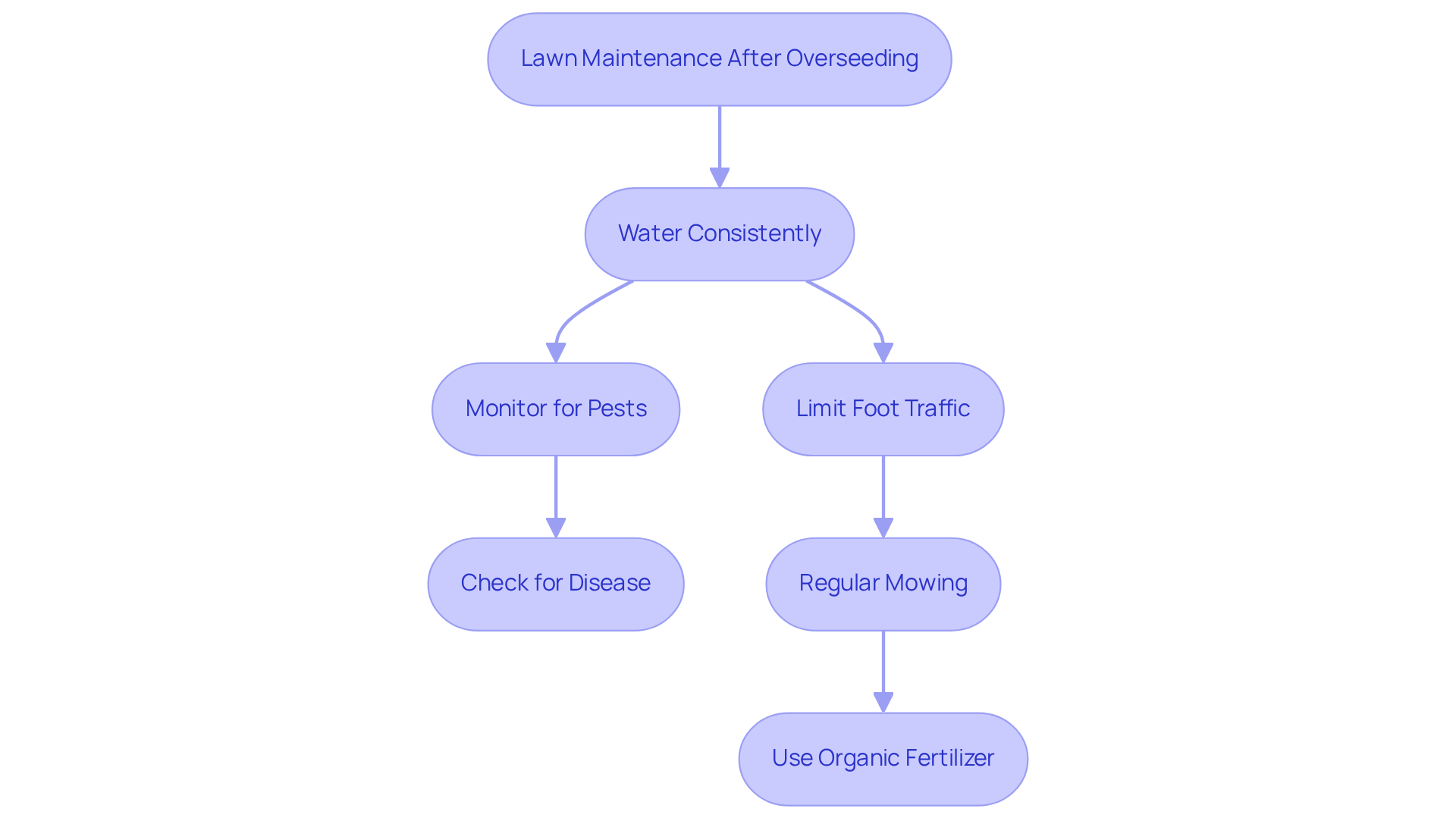 Follow the arrows to see the steps you need to take for a healthy lawn after overseeding. Each box represents an important action, and the flow shows how they connect to keep your lawn thriving.
