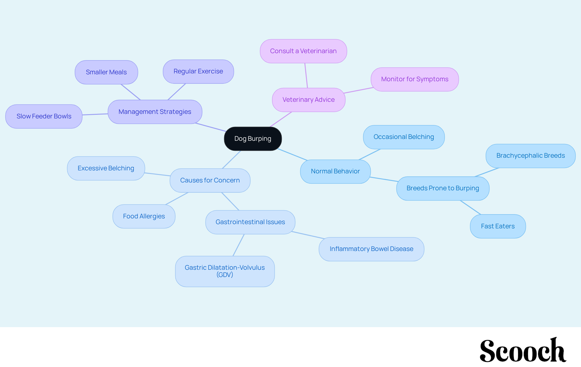 The central node represents the main topic of dog burping. Each branch explores different aspects: normal behavior, potential health issues, management strategies, and veterinary advice. Follow the branches to understand how these elements connect and what to look out for. The central node represents the main topic of dog burping. Each branch explores different aspects: normal behavior, potential health issues, management strategies, and veterinary advice. Follow the branches to understand how these elements connect and what to look out for.