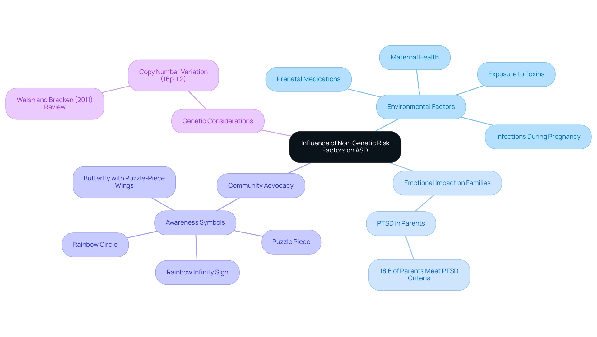 The central node represents the overall influence of non-genetic factors on ASD, with branches illustrating specific categories and their subcategories.