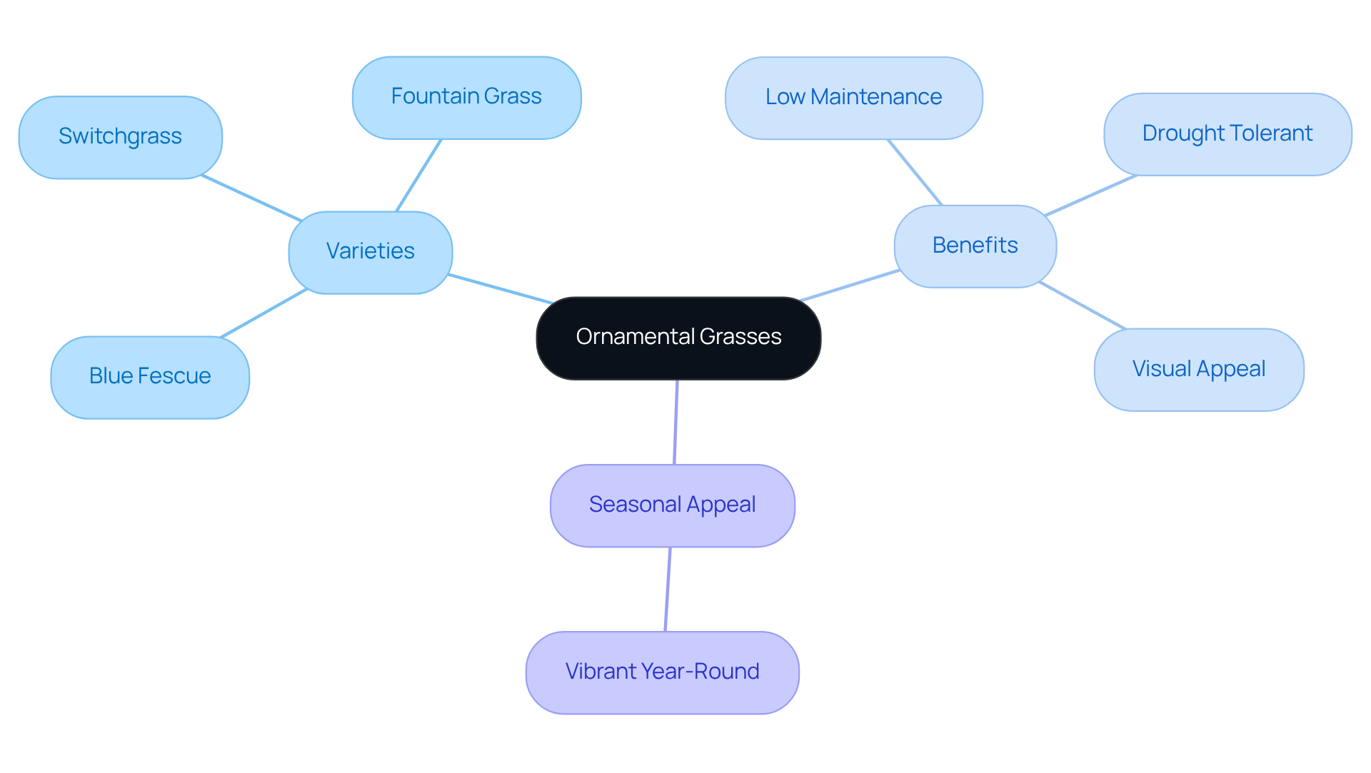 This mindmap shows how different types of ornamental grasses relate to their benefits and seasonal characteristics. Start at the center with the main topic, then explore the branches to learn about specific grasses and why they are great for landscaping. This mindmap shows how different types of ornamental grasses relate to their benefits and seasonal characteristics. Start at the center with the main topic, then explore the branches to learn about specific grasses and why they are great for landscaping.