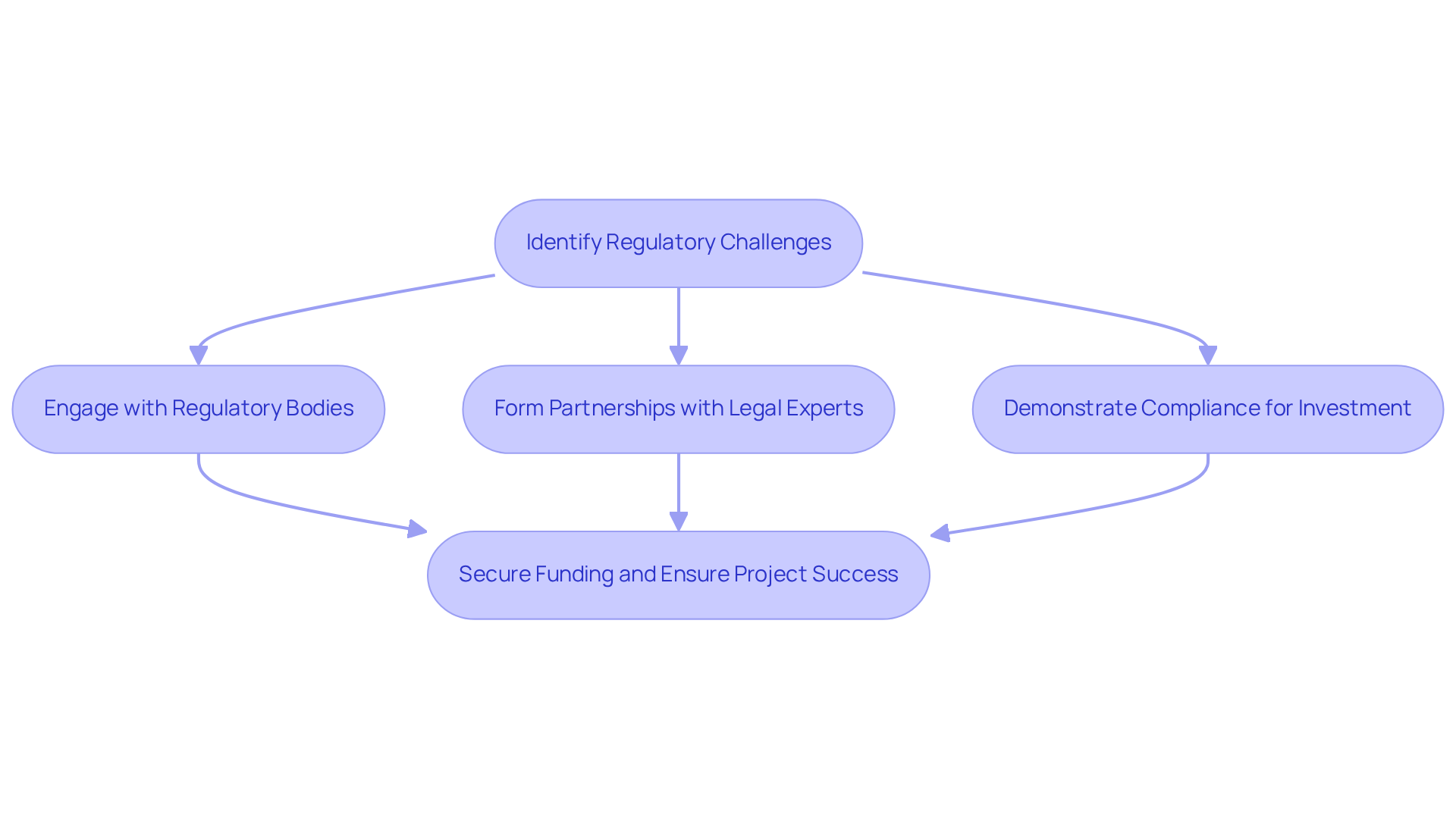 Follow the arrows to see the steps businesses should take to navigate regulatory challenges and secure funding. Each box represents a key action in the process.