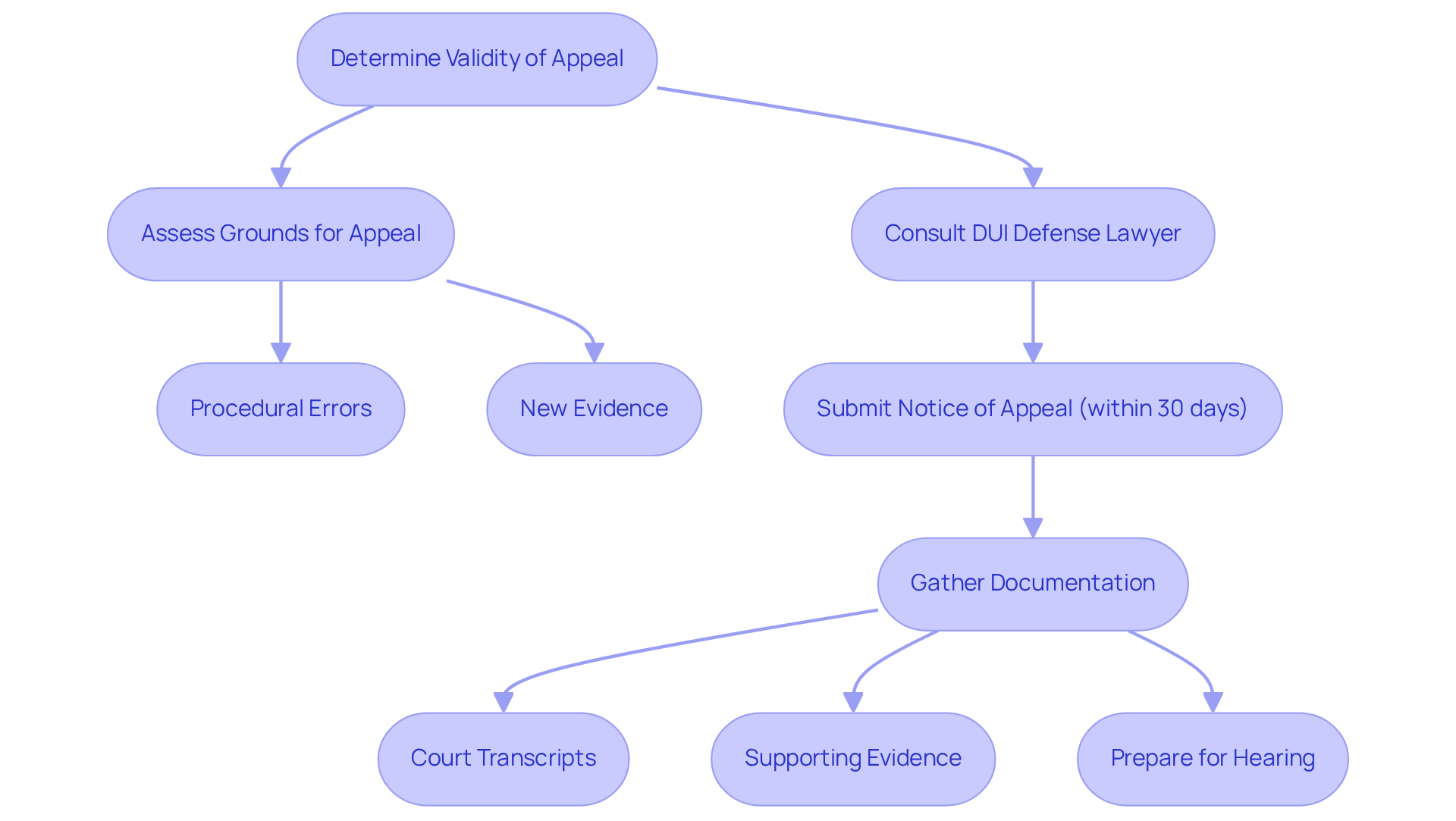 This flowchart guides you through the process of appealing DUI fines. Each box represents a step you need to take, and the arrows show the order in which to complete them. Start by determining if you have valid grounds for an appeal, then consult a lawyer, and follow through with the necessary documentation and preparation for your hearing.