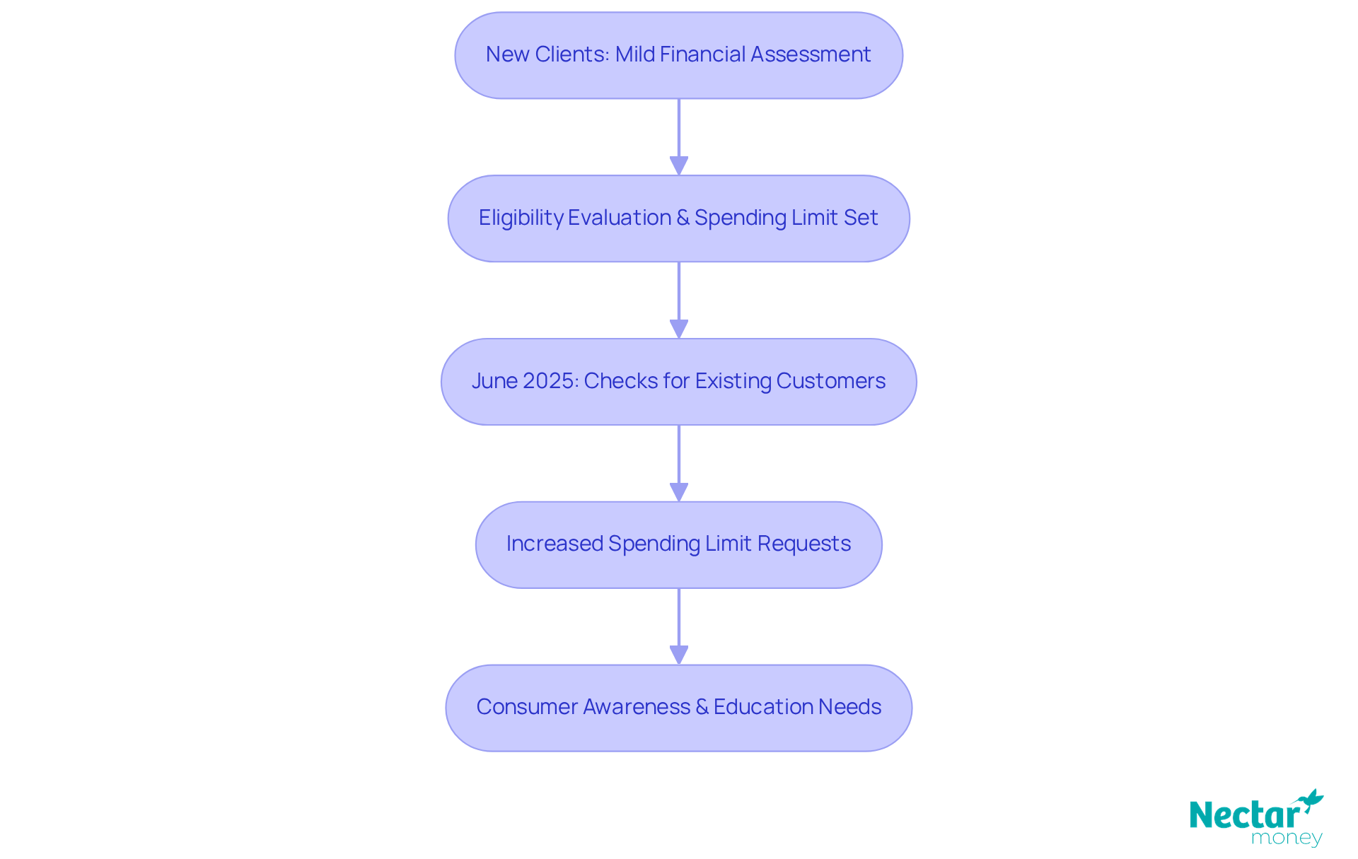 Each box represents a step in the Afterpay credit assessment process. Follow the arrows to see how new and existing customers are evaluated and the importance of consumer awareness.