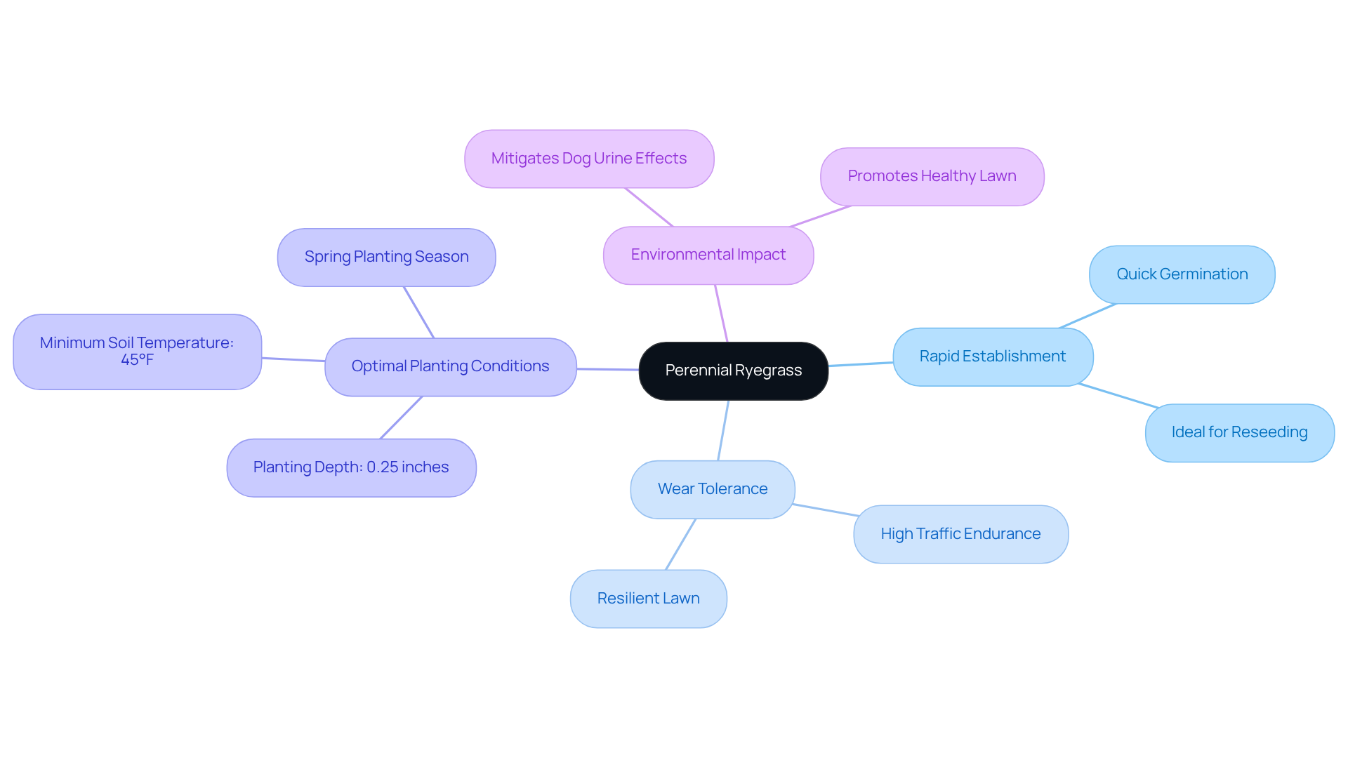 Start at the center with Perennial Ryegrass, then explore its benefits and recommendations by following the branches. Each branch represents a key feature or advice related to this grass type, making it easy to understand why it's ideal for high-traffic areas.