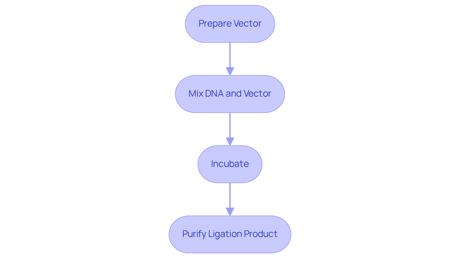 Each box represents a step in the DNA ligation process. Follow the arrows to see how to move from preparing the vector to purifying the final product.