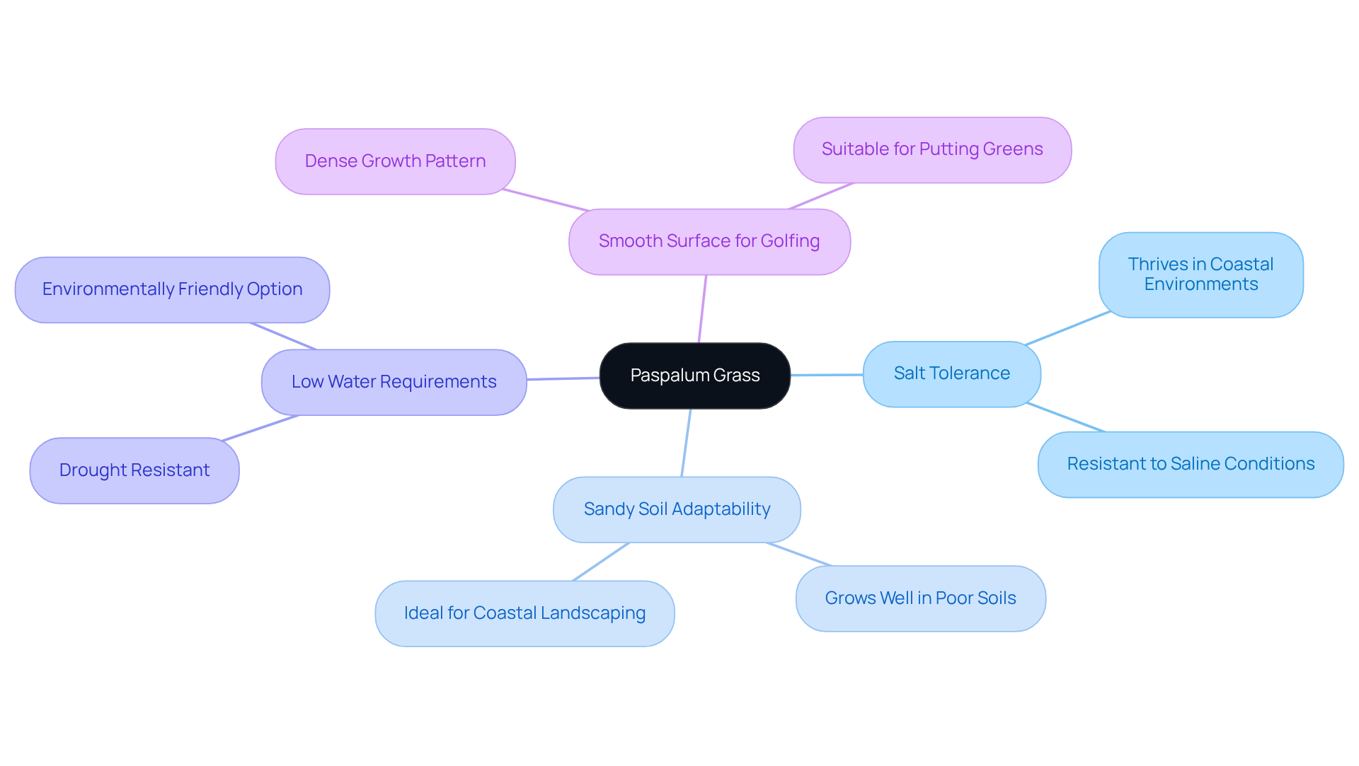 The center shows Paspalum grass, and the branches highlight its key features. Each branch explains why Paspalum is a great choice for coastal putting greens. The center shows Paspalum grass, and the branches highlight its key features. Each branch explains why Paspalum is a great choice for coastal putting greens.