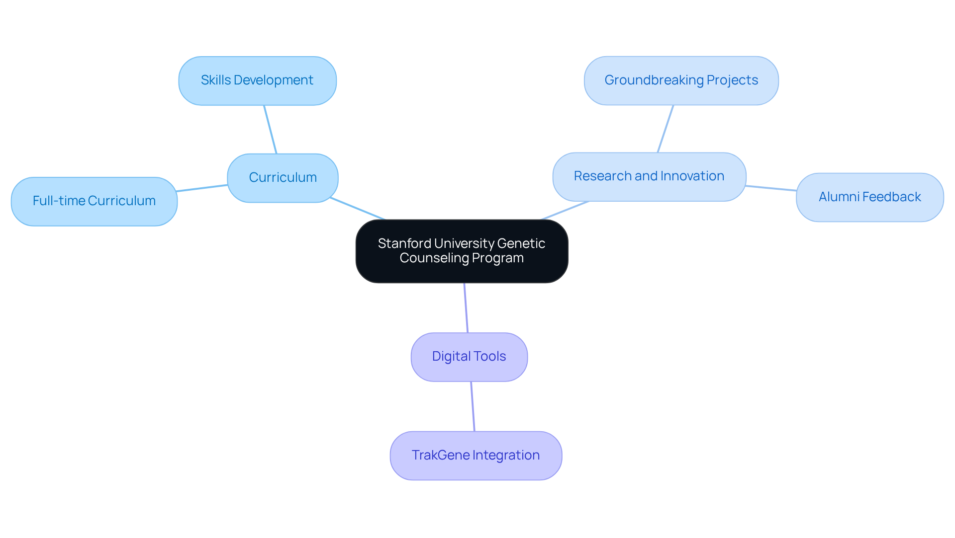 Start at the center with the program name, then follow the branches to explore the curriculum, research opportunities, and the use of digital tools in training.
