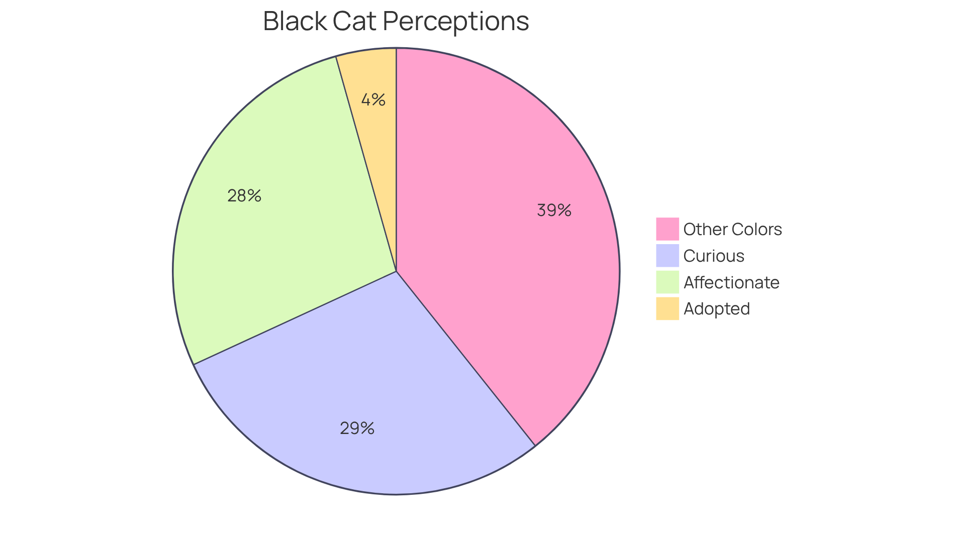 This chart shows how people feel about black cats and their adoption rates. Bigger slices mean more people agree with that view or more cats are adopted — it helps highlight the love they can give and the need for more homes. This chart shows how people feel about black cats and their adoption rates. Bigger slices mean more people agree with that view or more cats are adopted — it helps highlight the love they can give and the need for more homes.