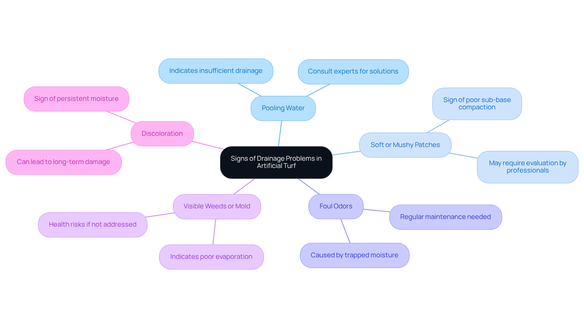 The central node represents the main topic, while each branch shows a specific sign of drainage issues. Follow the branches to understand what to look for and why these signs matter.