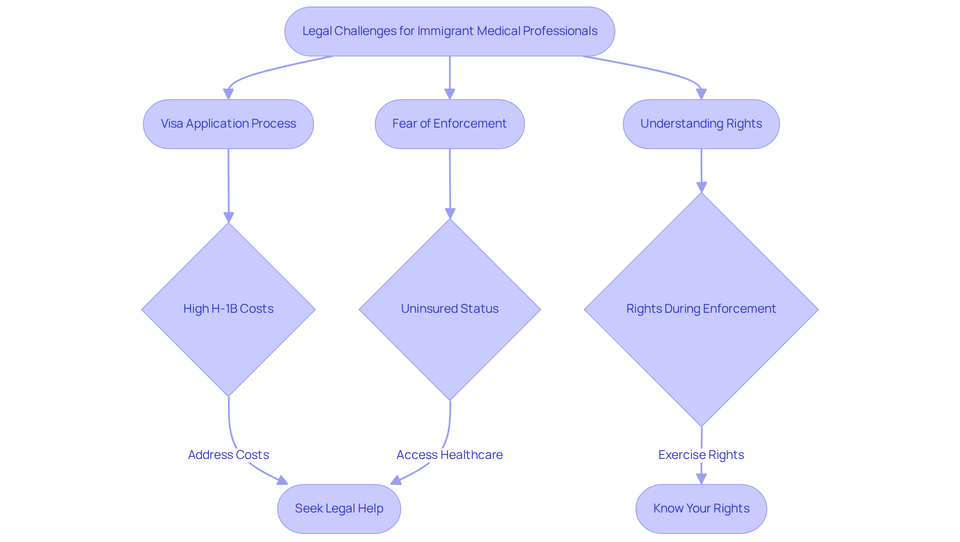 This flowchart outlines the key legal challenges faced by immigrant medical professionals and the actions they can take. Each branch represents a challenge, with arrows leading to the possible actions or rights they can exercise. Follow the arrows to understand the flow from issues to resolutions.