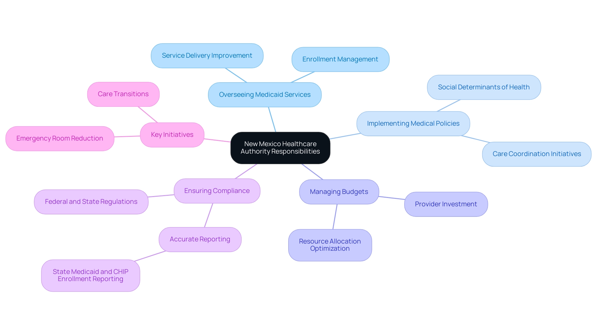 Each branch represents a key responsibility of the HCA, with sub-branches detailing specific initiatives or objectives associated with each responsibility.