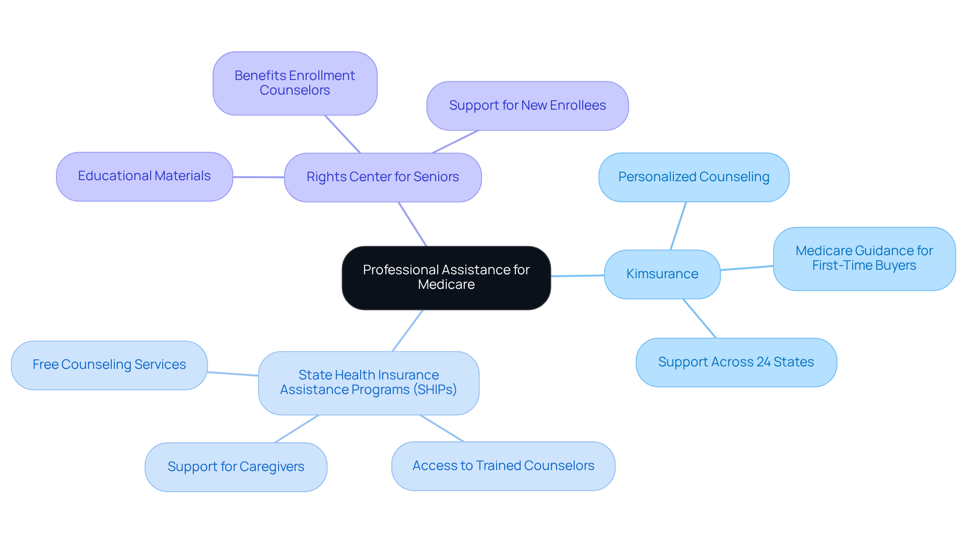 The central node represents the overall theme of professional assistance for Medicare. Each branch represents different resources that help individuals make informed choices, with further details showing specific types of support they provide.