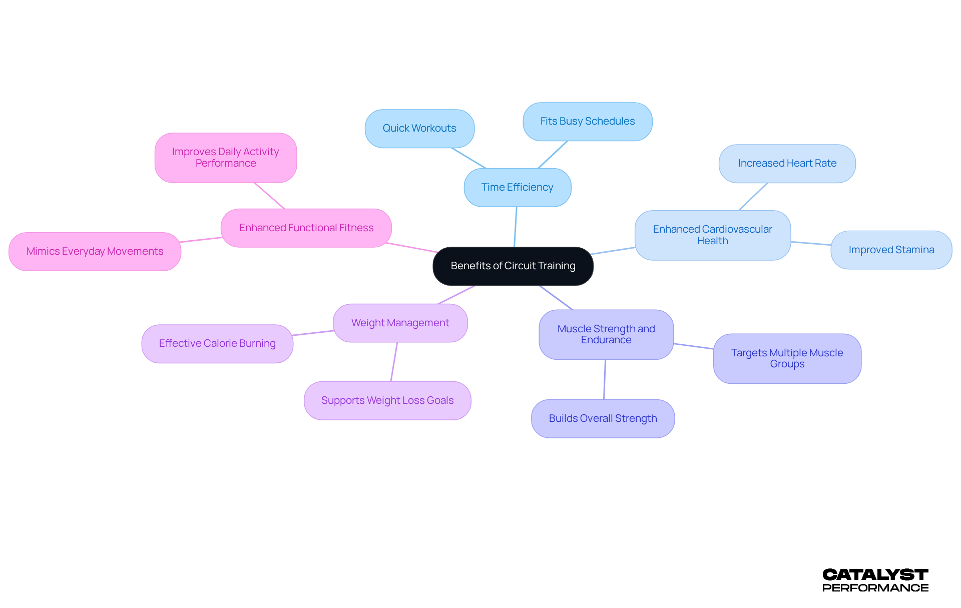 The central node represents circuit training, and each branch shows a specific benefit. Follow the branches to learn how circuit training can improve your health and fitness in various ways. The central node represents circuit training, and each branch shows a specific benefit. Follow the branches to learn how circuit training can improve your health and fitness in various ways.