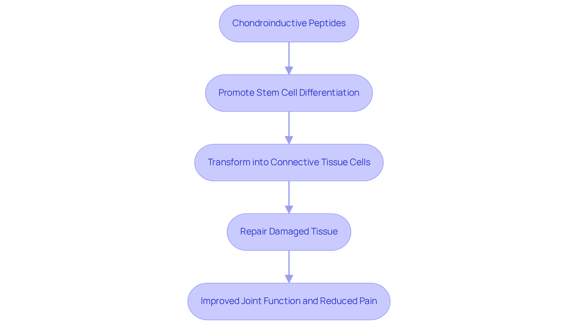 This flowchart illustrates how chondroinductive peptides work: starting from the introduction of the peptides, they promote stem cell differentiation, which transforms stem cells into connective tissue cells, leading to the repair of damaged tissue and ultimately improving joint function and reducing pain.