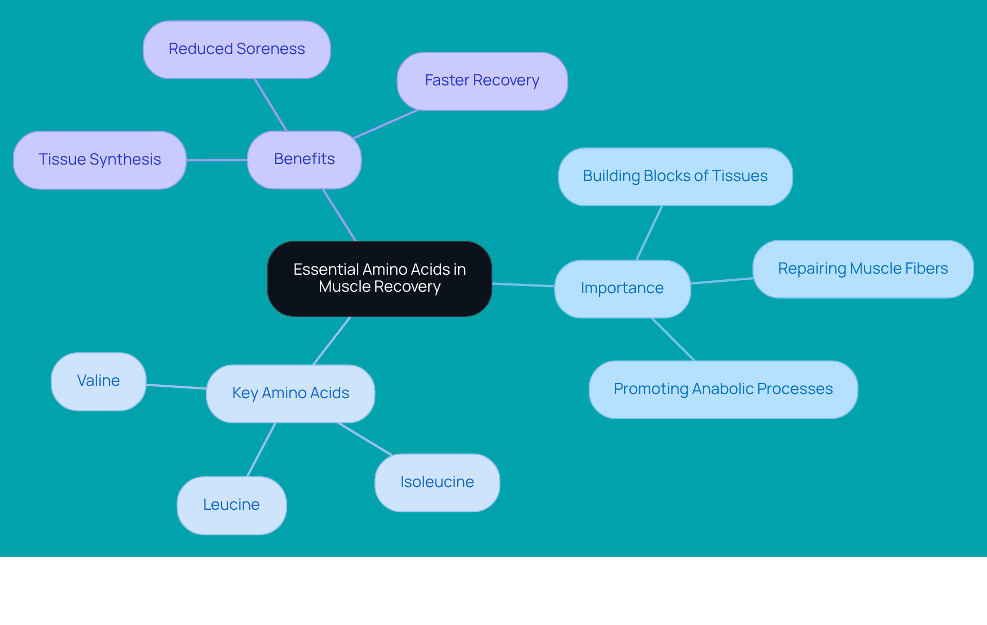 The central node represents the main topic, while the branches show the importance, specific amino acids, and their benefits. Each color-coded branch helps you easily identify different aspects of how amino acids aid in recovery.