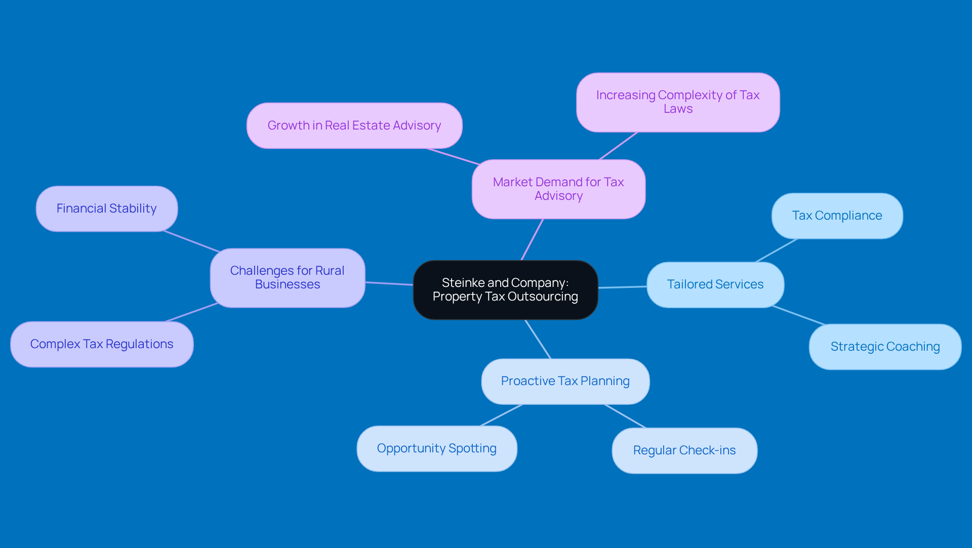 The central node represents Steinke and Company's main focus, while the branches show the different services and challenges they address. Each color-coded branch helps you see how these elements connect and support rural businesses.