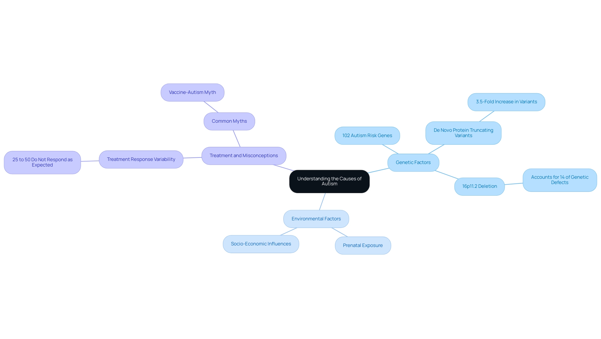 The central node represents the overall understanding of autism, with branches showing genetic factors, environmental influences, and treatment misconceptions.