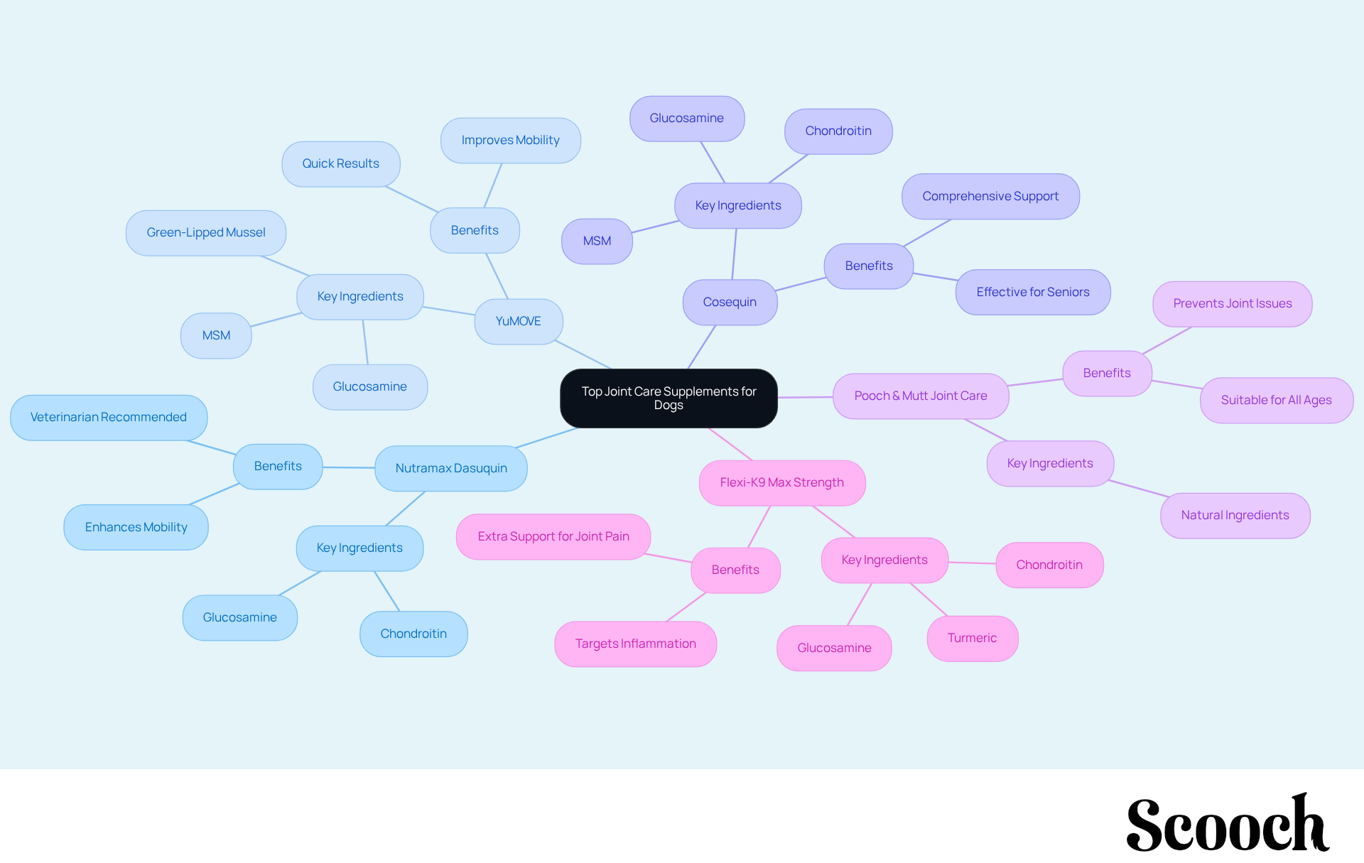 The central node represents the overall topic, while each branch shows a different supplement. Sub-branches detail the ingredients and benefits, helping you see which option might be best for your dog's needs.
