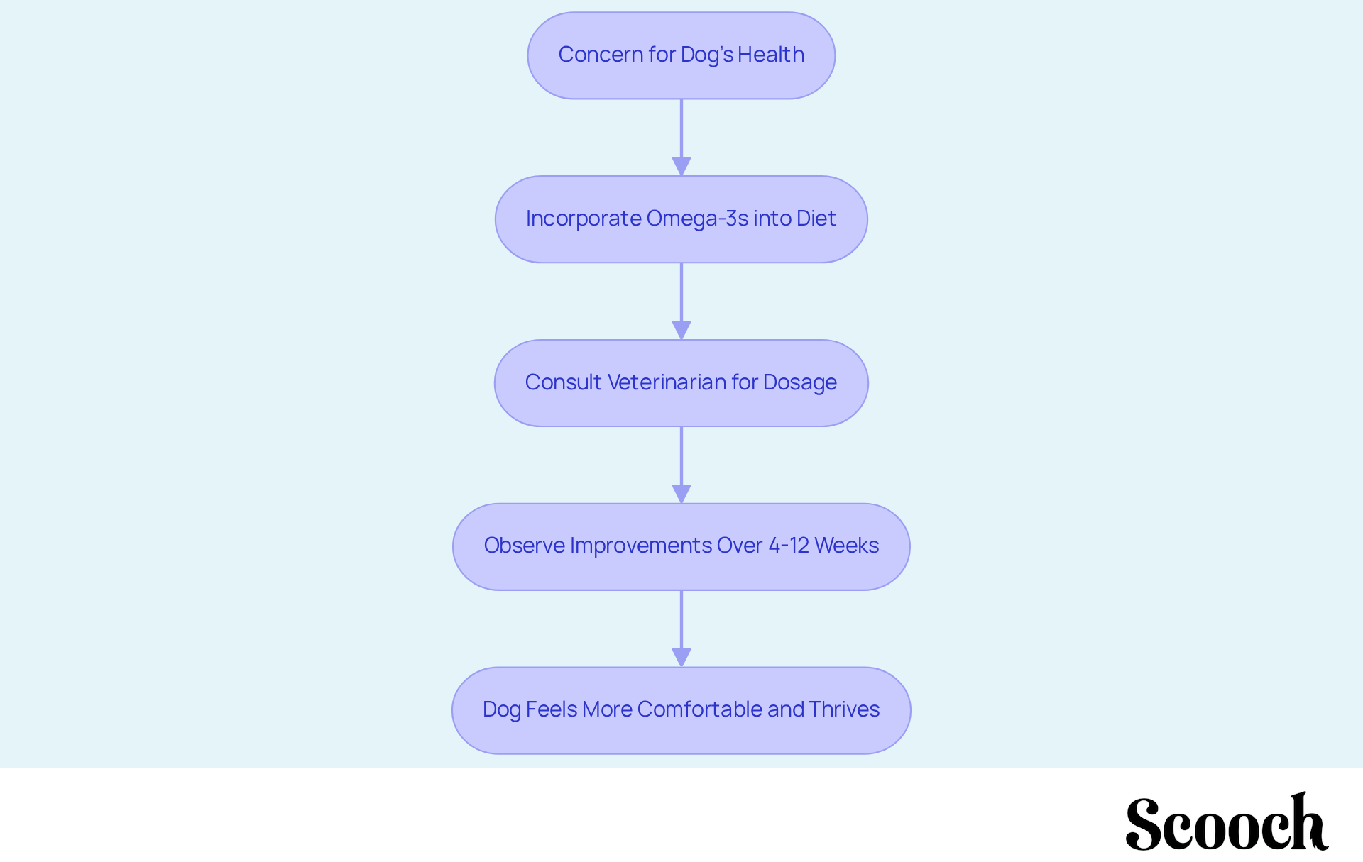 Follow the arrows to see how to help your dog feel better. Start with your concern, then see how adding omega-3s and consulting a vet can lead to improvements in your dog's comfort and health. Follow the arrows to see how to help your dog feel better. Start with your concern, then see how adding omega-3s and consulting a vet can lead to improvements in your dog's comfort and health.