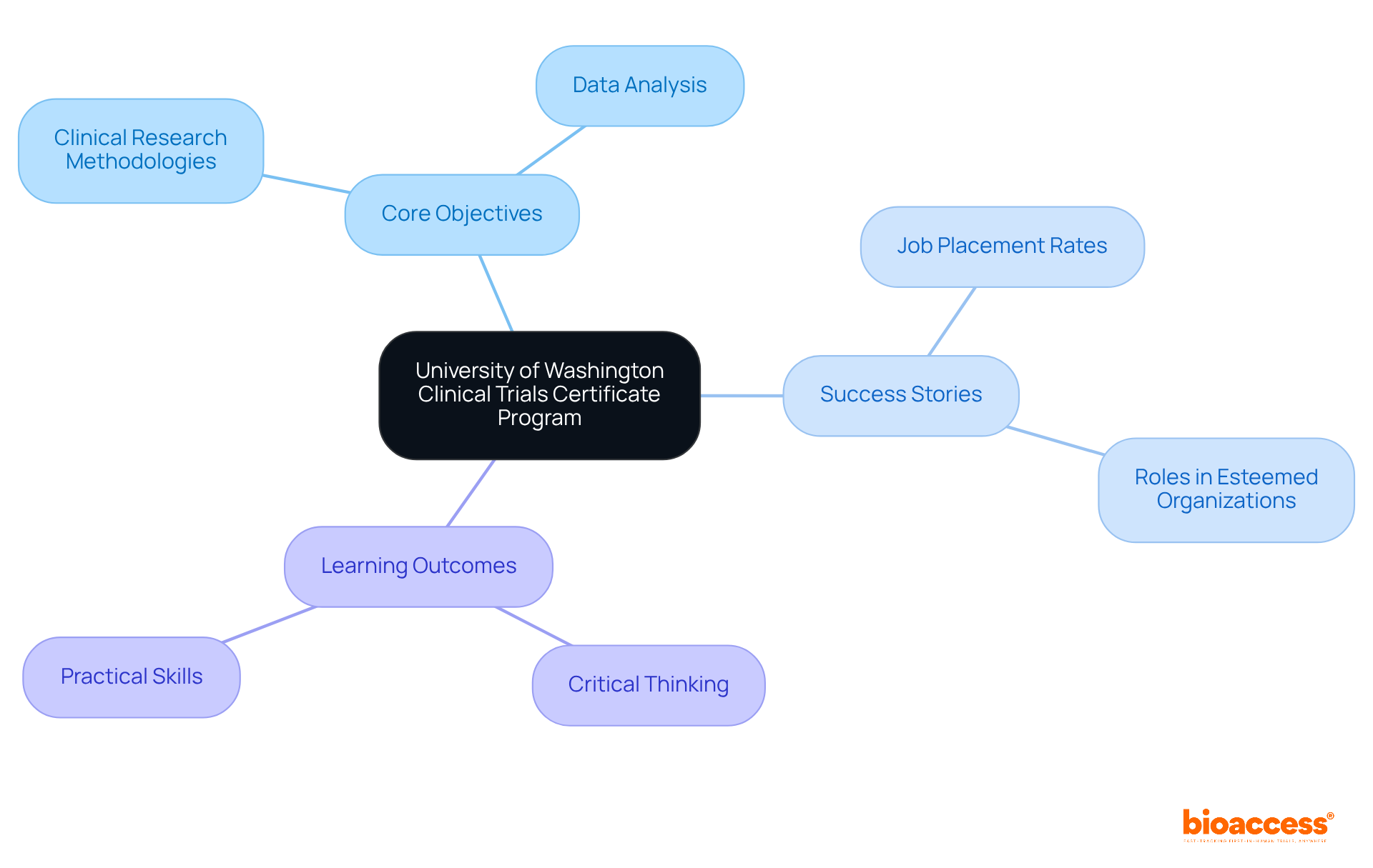 The central node represents the program, while the branches show its main components. Each color-coded section helps you quickly identify the program's focus areas and how they interconnect.