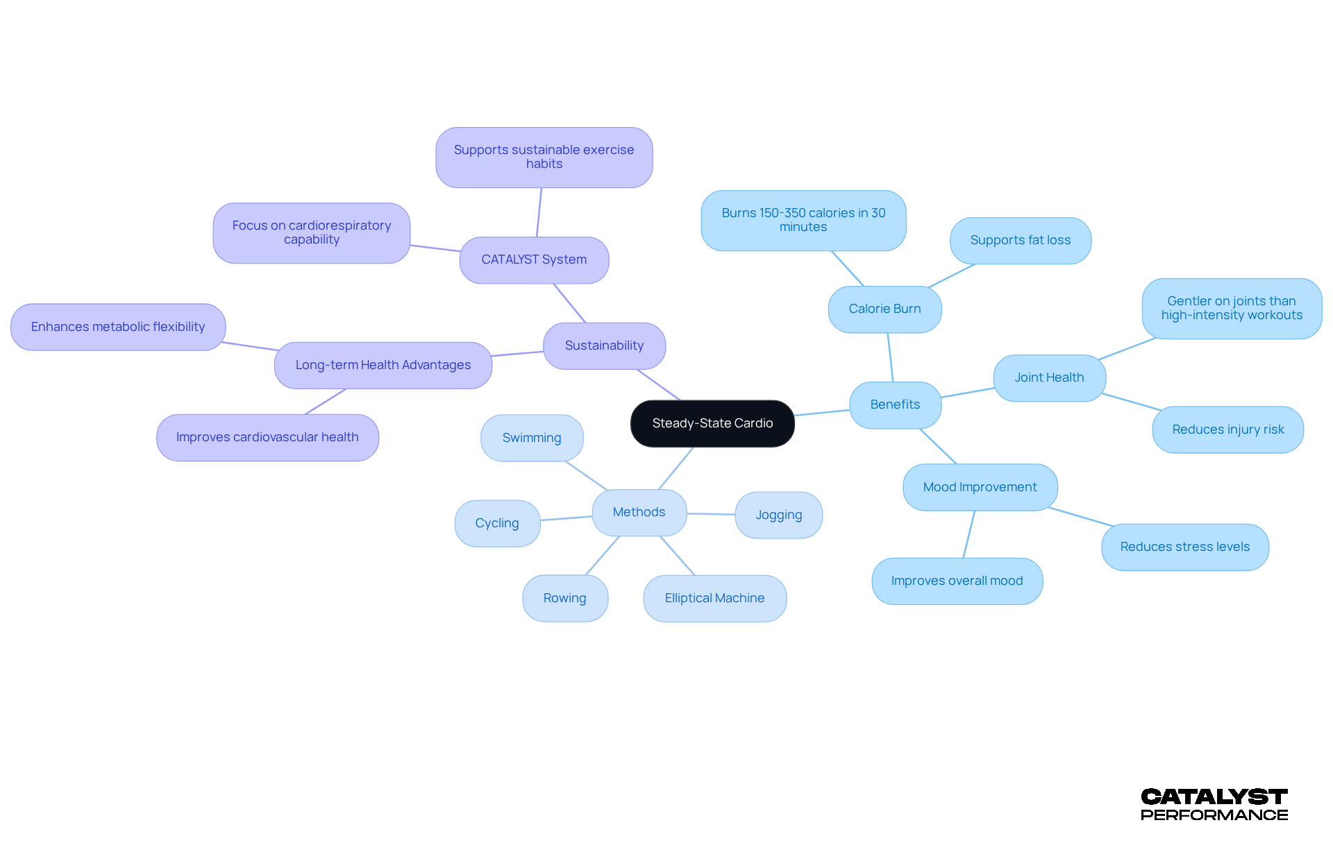 The center represents steady-state cardio, with branches showing its benefits, methods, and how it supports a sustainable fitness routine. Each color-coded branch helps you easily identify different aspects of this approach to health and fitness. The center represents steady-state cardio, with branches showing its benefits, methods, and how it supports a sustainable fitness routine. Each color-coded branch helps you easily identify different aspects of this approach to health and fitness.