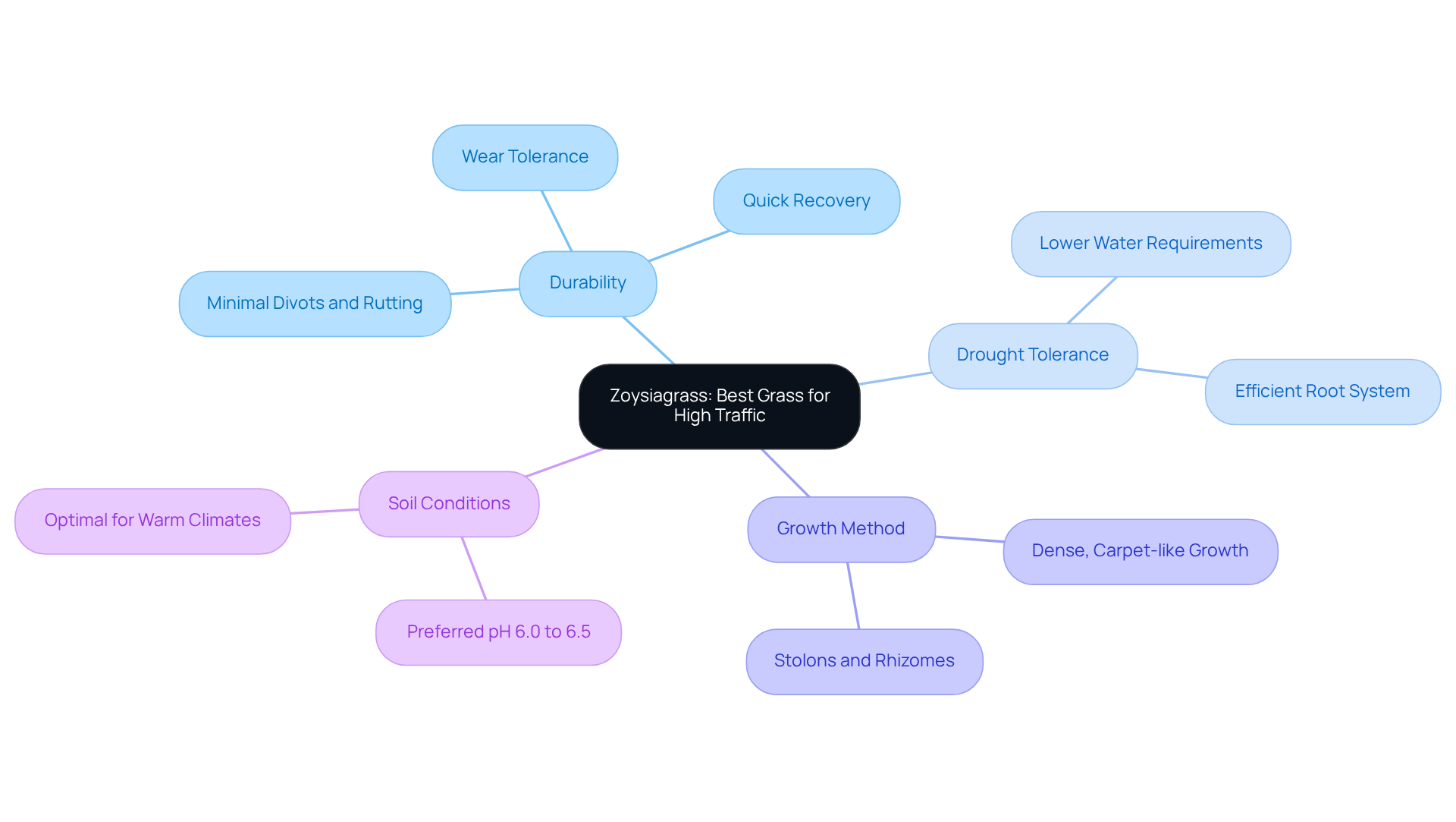 The central node represents Zoysiagrass, while the branches show its key features. Each sub-branch provides more detail about how Zoysiagrass excels in high-traffic areas.