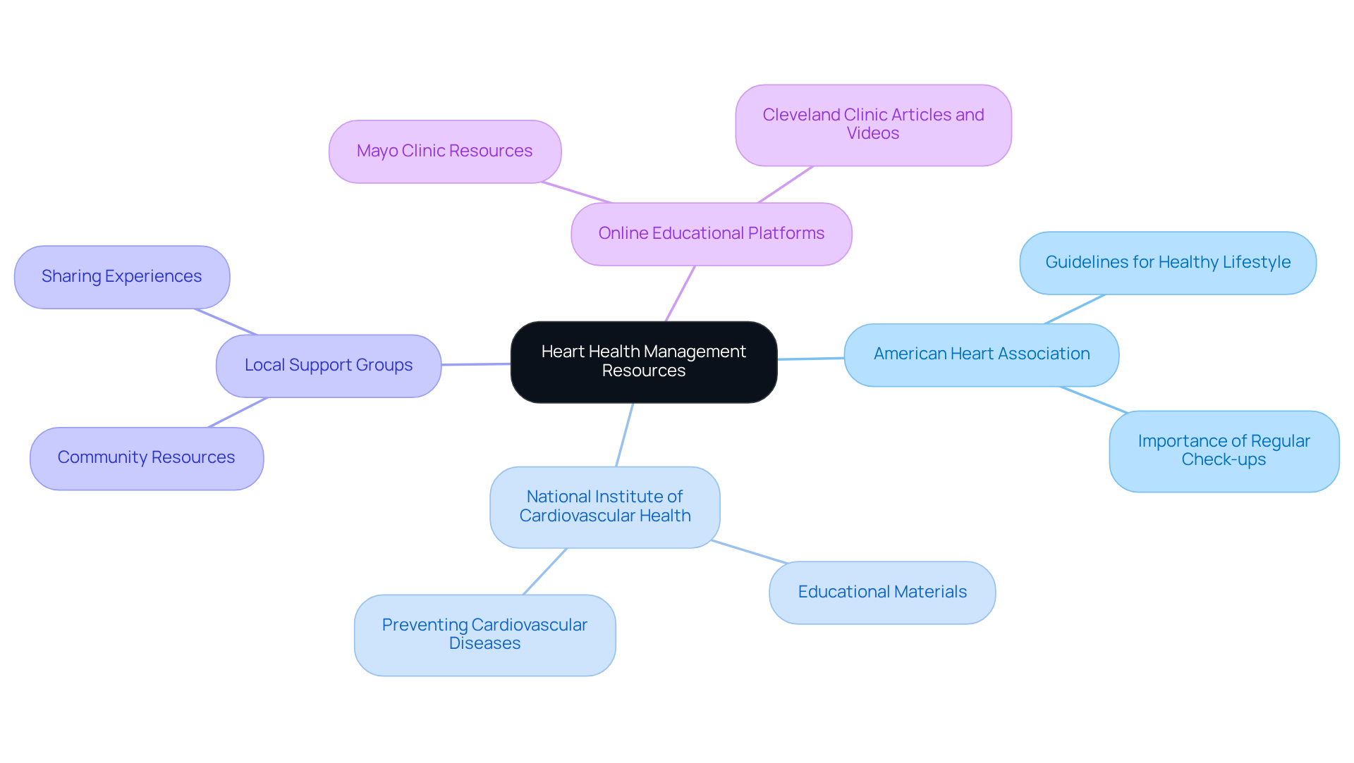 The central node represents the overall theme of managing heart health. Each branch leads to a specific resource category, and the sub-branches provide details about what each resource offers. This layout helps you quickly identify where to find support and information. The central node represents the overall theme of managing heart health. Each branch leads to a specific resource category, and the sub-branches provide details about what each resource offers. This layout helps you quickly identify where to find support and information.