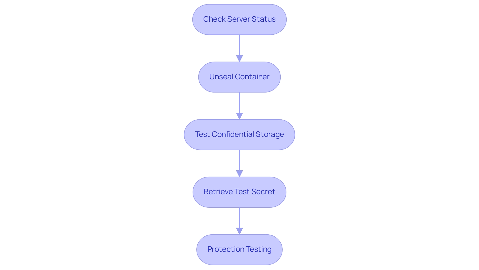 Each box represents a step in the testing process, with arrows indicating the sequential flow from one step to the next.