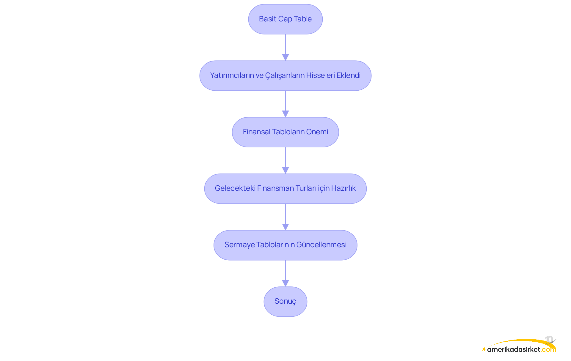 Bu akış diyagramı, cap table'ın nasıl geliştiğini ve her aşamanın önemini gösteriyor. Okuyucular, sürecin nasıl ilerlediğini ve her adımın ne anlama geldiğini kolayca takip edebilir.