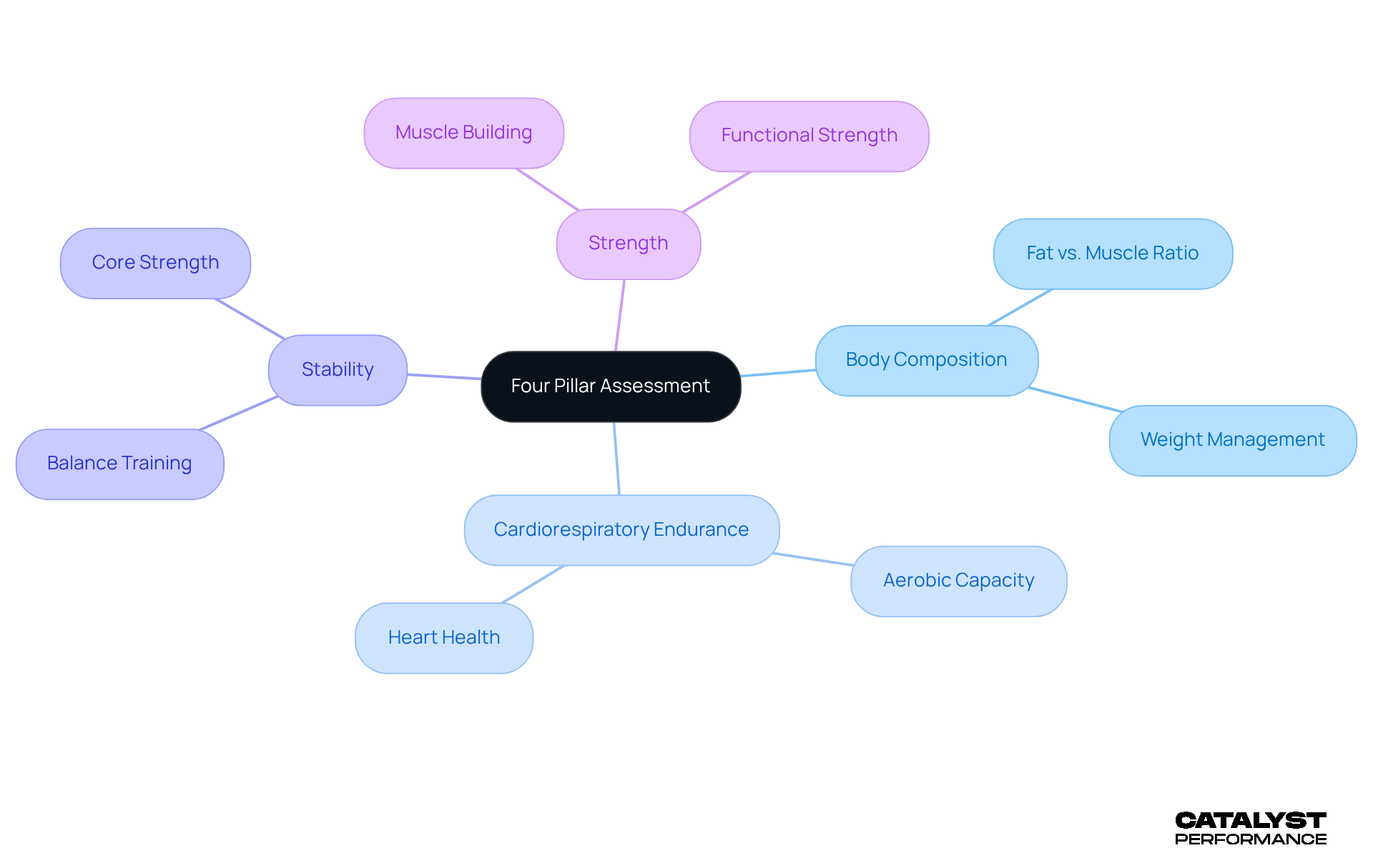 The center represents the main assessment system, while the branches show the four key health dimensions. Each dimension is crucial for understanding your fitness journey and how trainers can tailor programs to your needs.