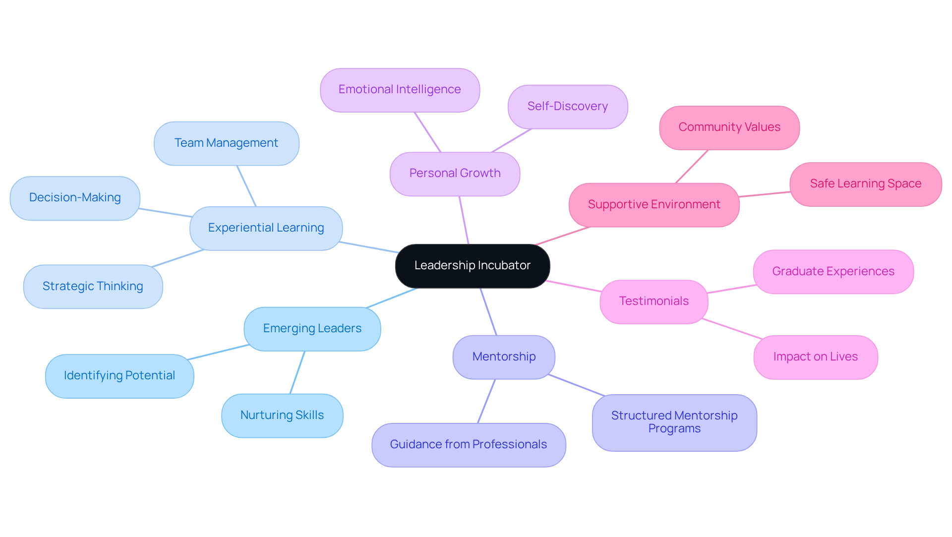 The center represents the Leadership Incubator program. Follow the branches to explore how each component contributes to developing future leaders and fostering personal growth.