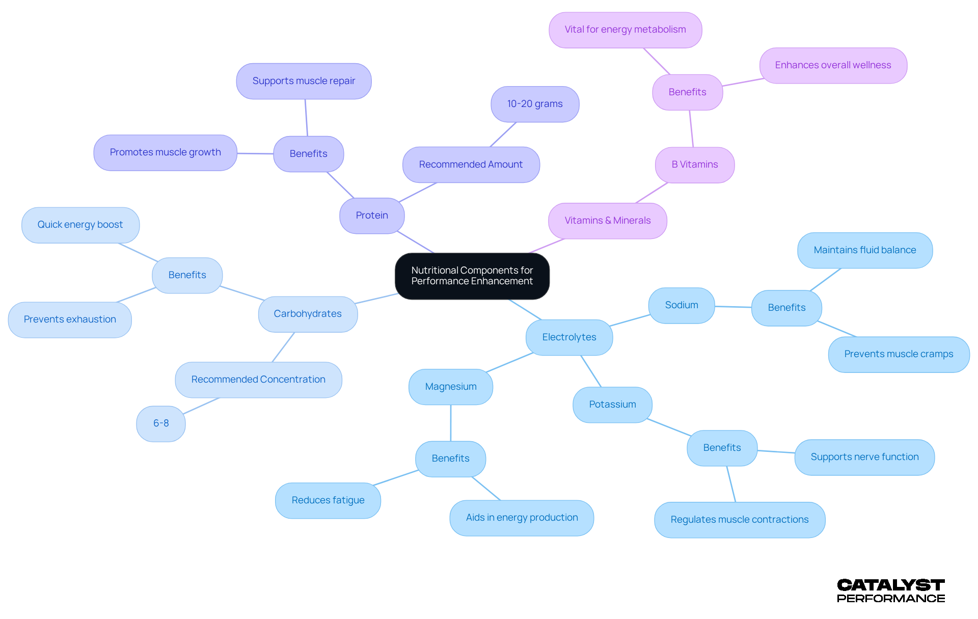 The center shows the main topic, and each branch represents a different nutritional component. Follow the branches to learn about the benefits and details of each component that can help improve your workout performance.