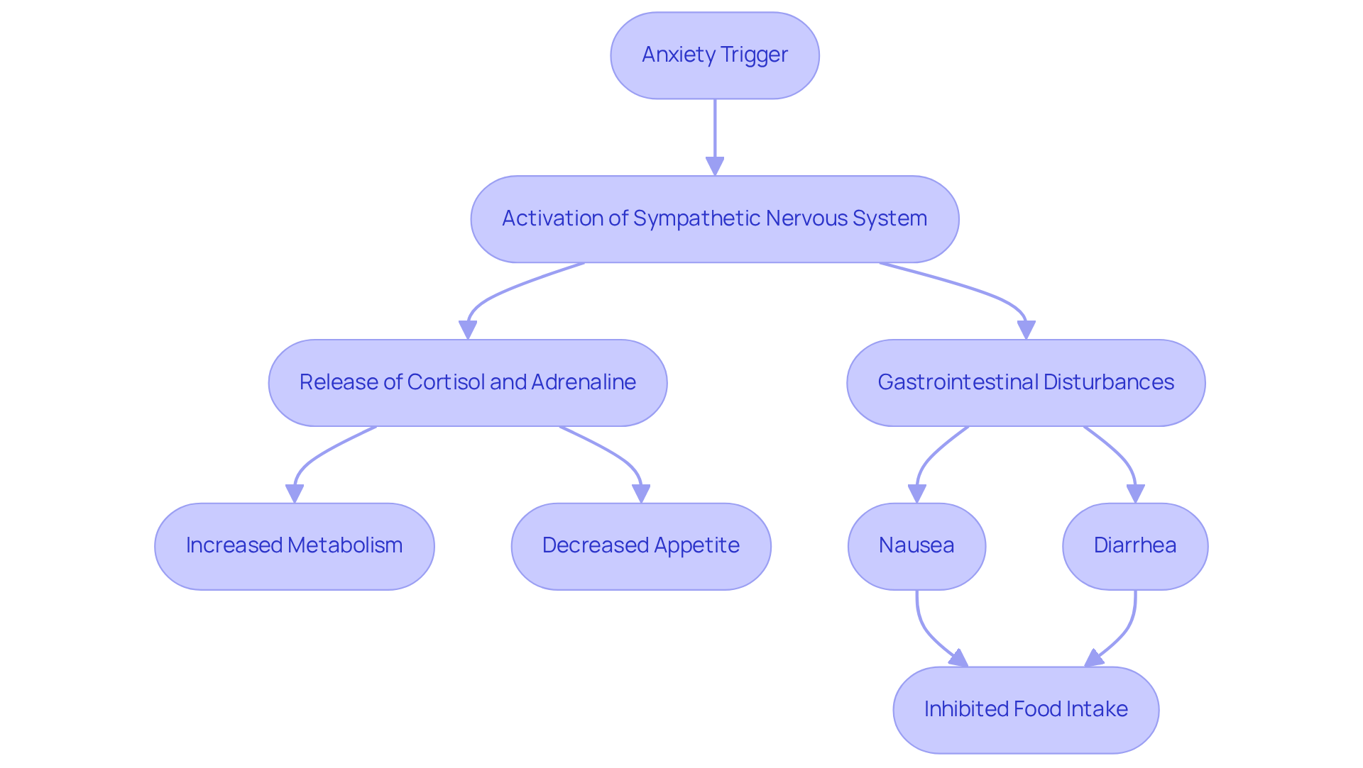 Follow the arrows to see how anxiety affects the body, leading to changes in metabolism and appetite — each box represents a step in the process.