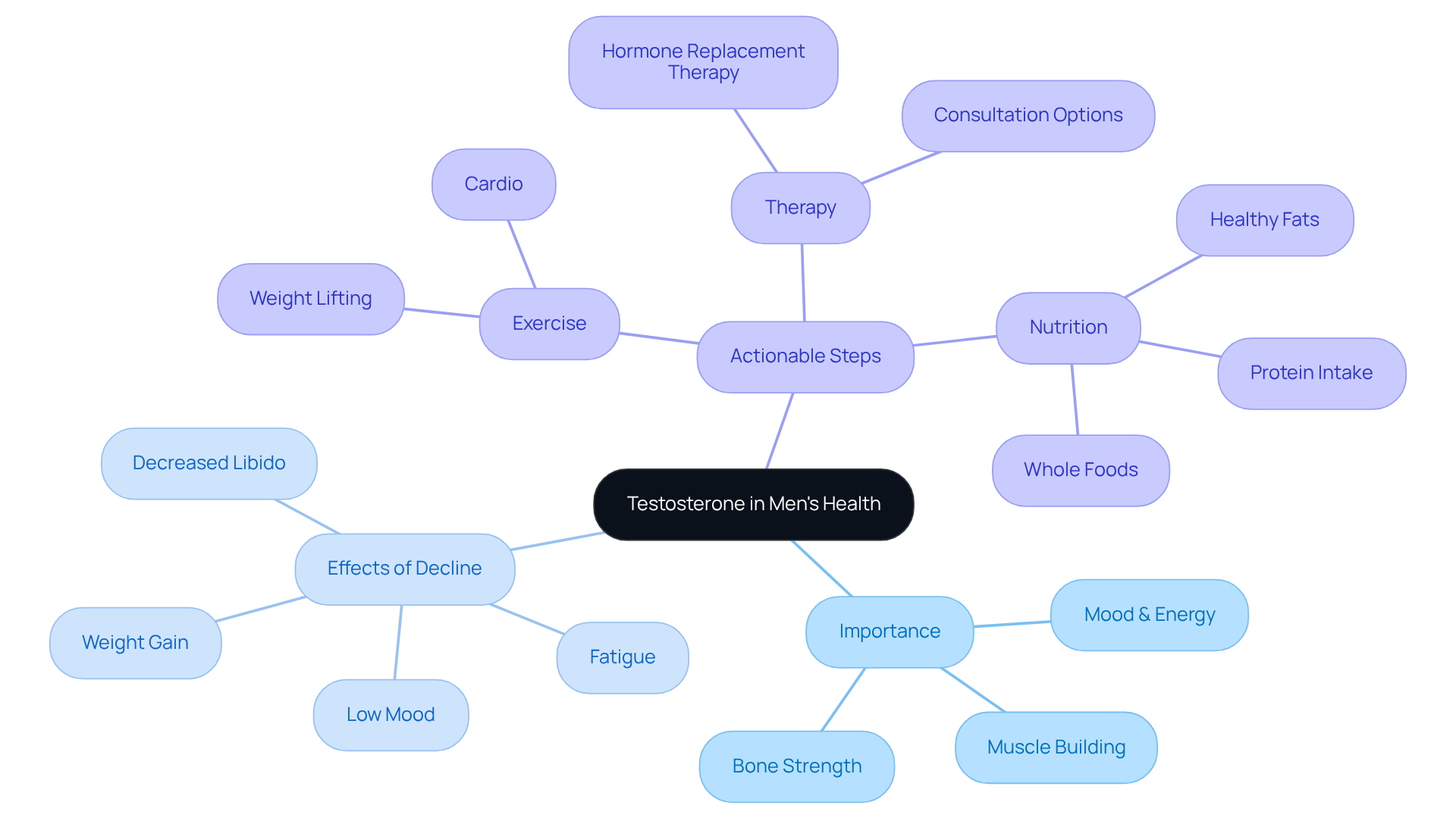The central node represents testosterone's role in health, with branches showing its importance, the effects of its decline, and steps you can take to boost your levels. Follow the branches to explore each topic!