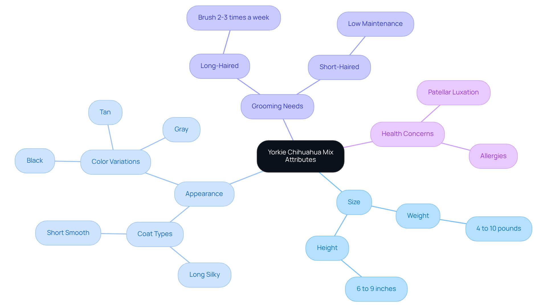 The center represents the Yorkie Chihuahua mix, and the branches show different characteristics and care needs. Each category helps you understand how to care for your dog based on its unique attributes.