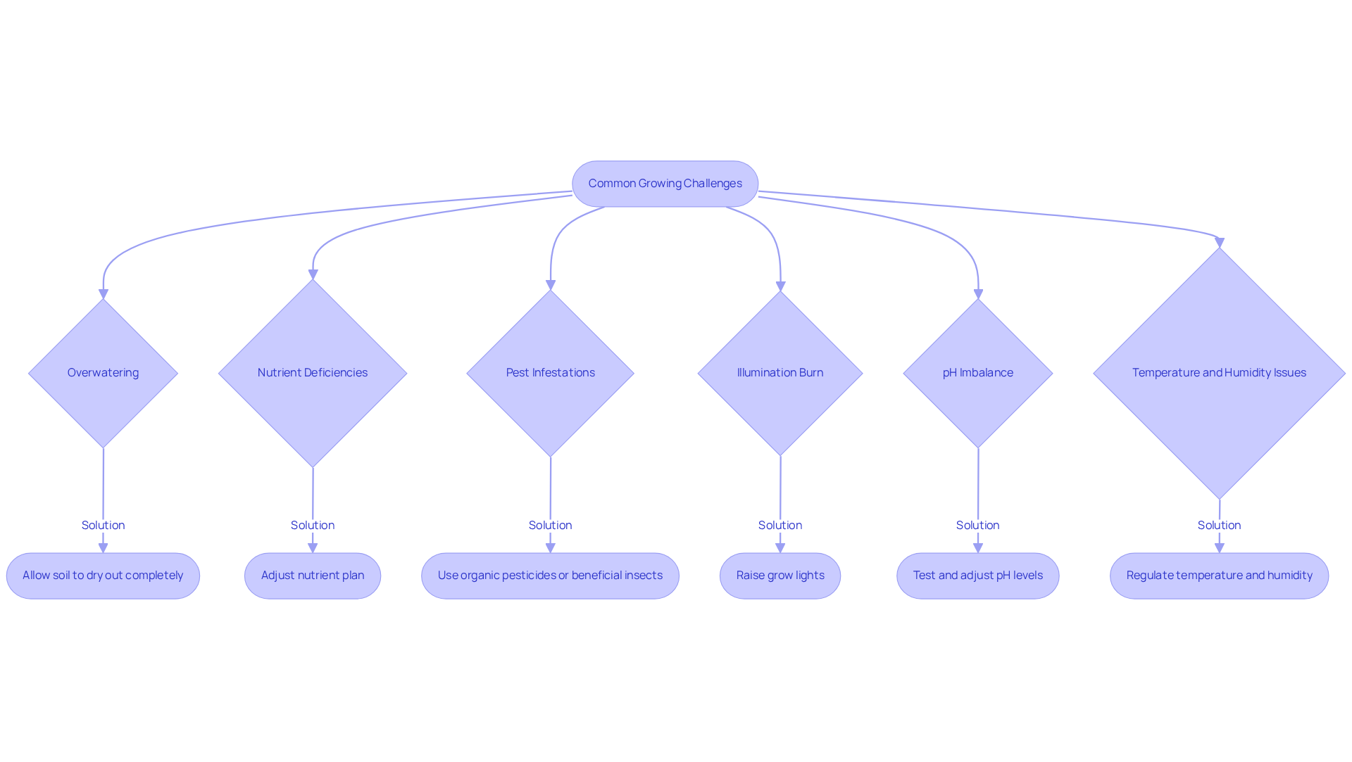 This flowchart helps you navigate through common growing issues. Each challenge is linked to a solution, guiding you step-by-step to ensure your plants thrive. Follow the arrows to see how to address each problem effectively.
