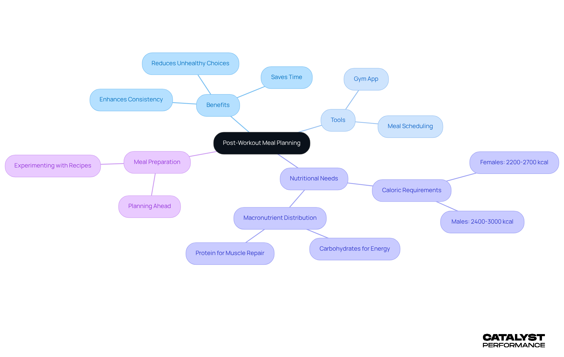 The central node represents the main topic of meal planning after workouts. Each branch shows related aspects, helping you understand how they contribute to effective nutrition and recovery.