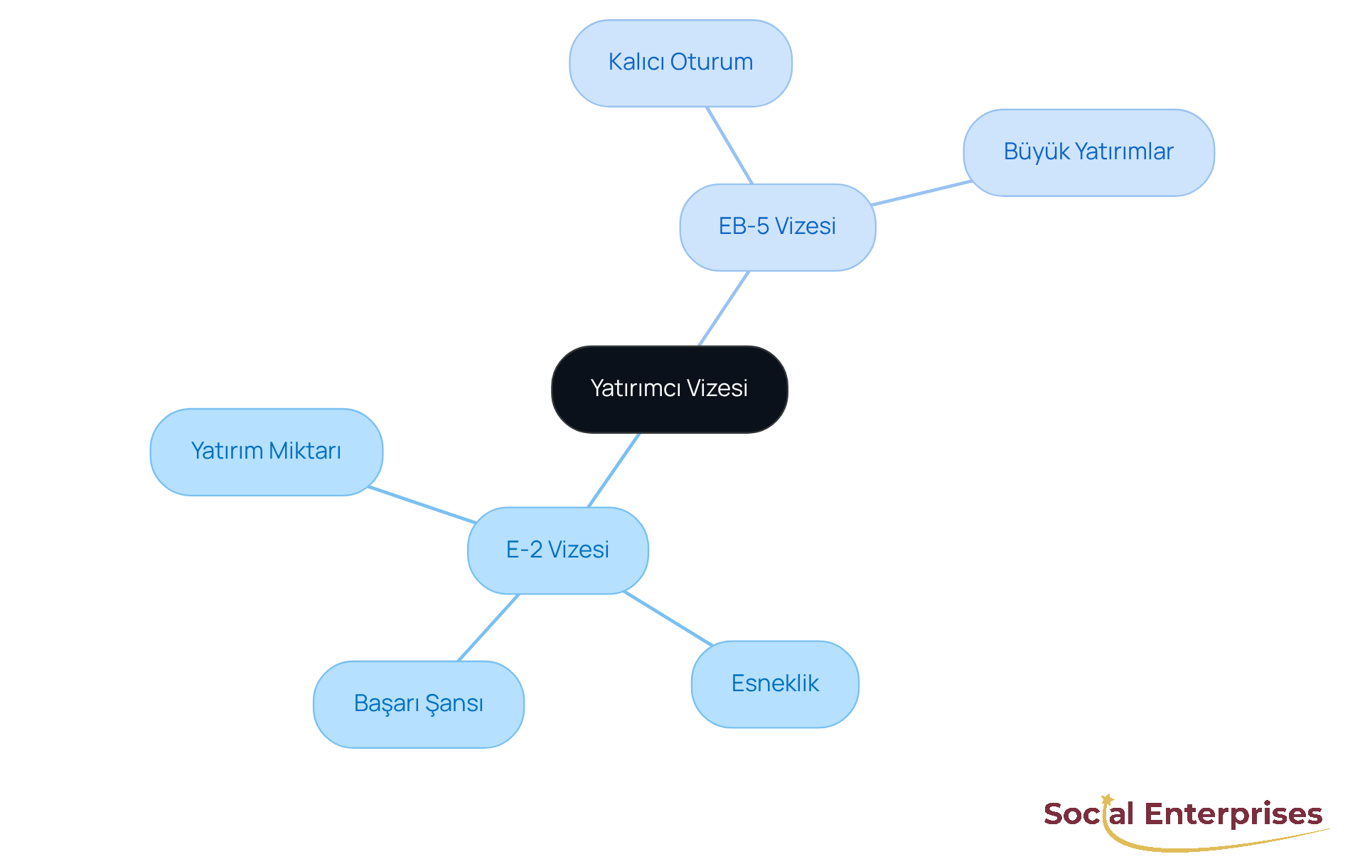 Merkezdeki konu, yatırımcı vizeleri. Dallar, her vize türünün özelliklerini ve avantajlarını gösteriyor. Renkler, farklı vize türlerini ayırt etmeye yardımcı oluyor.