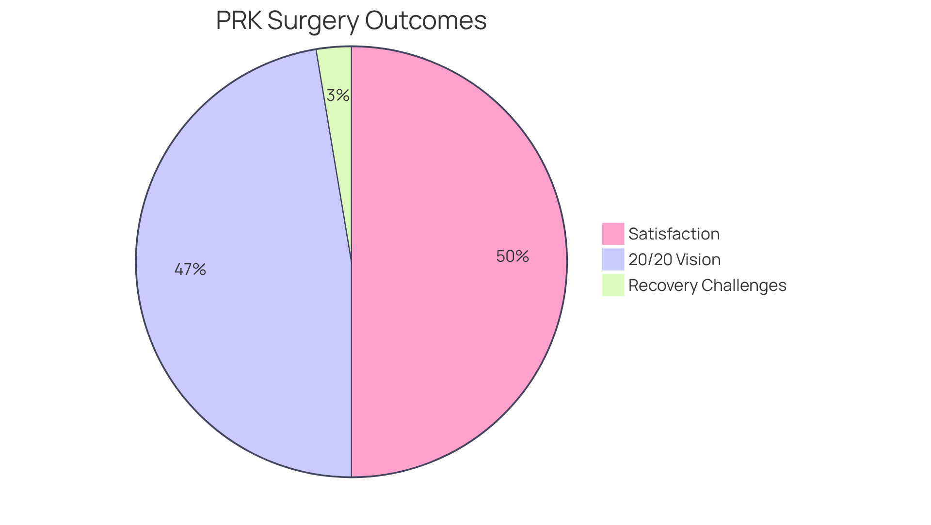 This pie chart shows how satisfied patients are with PRK surgery and how many achieved 20/20 vision. The larger the slice, the more patients reported that experience. The smaller slice represents the challenges faced during recovery, giving you a quick overview of the overall sentiment.