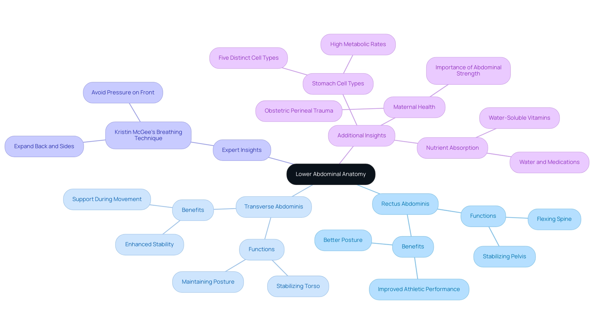 Central node represents overall anatomy, with branches for each muscle group and their respective functions, benefits, and expert insights.