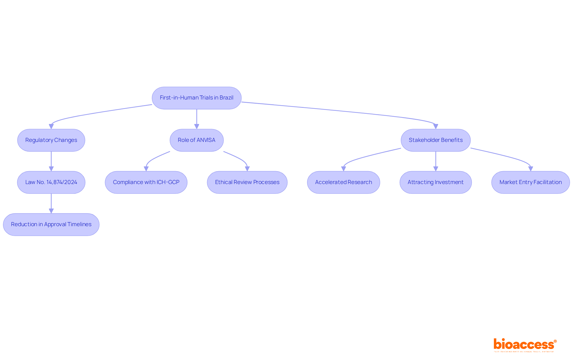 This flowchart illustrates the key components of first-in-human trials in Brazil. Start at the top with the main topic, then follow the arrows to see how regulatory changes, the role of ANVISA, and benefits for stakeholders are interconnected. Each section highlights important aspects that contribute to Brazil's position in early-stage clinical research.
