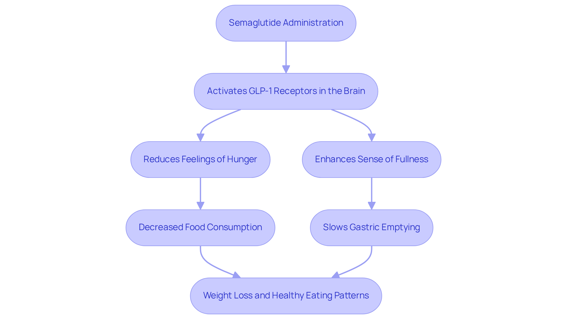 Follow the arrows to see how semaglutide affects your body - from taking the medication to feeling less hungry and ultimately losing weight. Follow the arrows to see how semaglutide affects your body - from taking the medication to feeling less hungry and ultimately losing weight.
