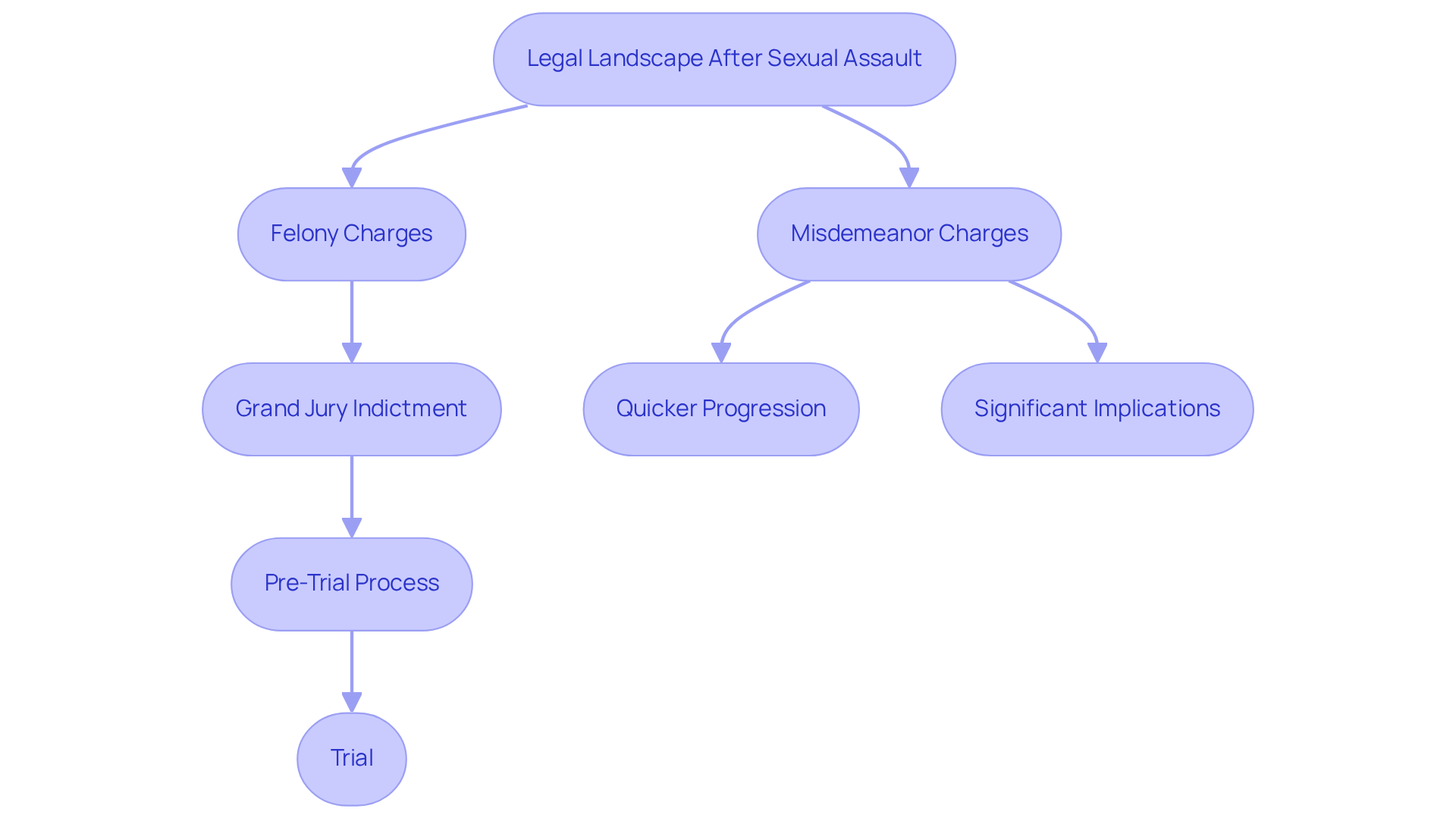 This flowchart outlines the steps involved in navigating the legal system after a sexual assault. Follow the paths to see how felony and misdemeanor charges differ in their processes and implications. This flowchart outlines the steps involved in navigating the legal system after a sexual assault. Follow the paths to see how felony and misdemeanor charges differ in their processes and implications.