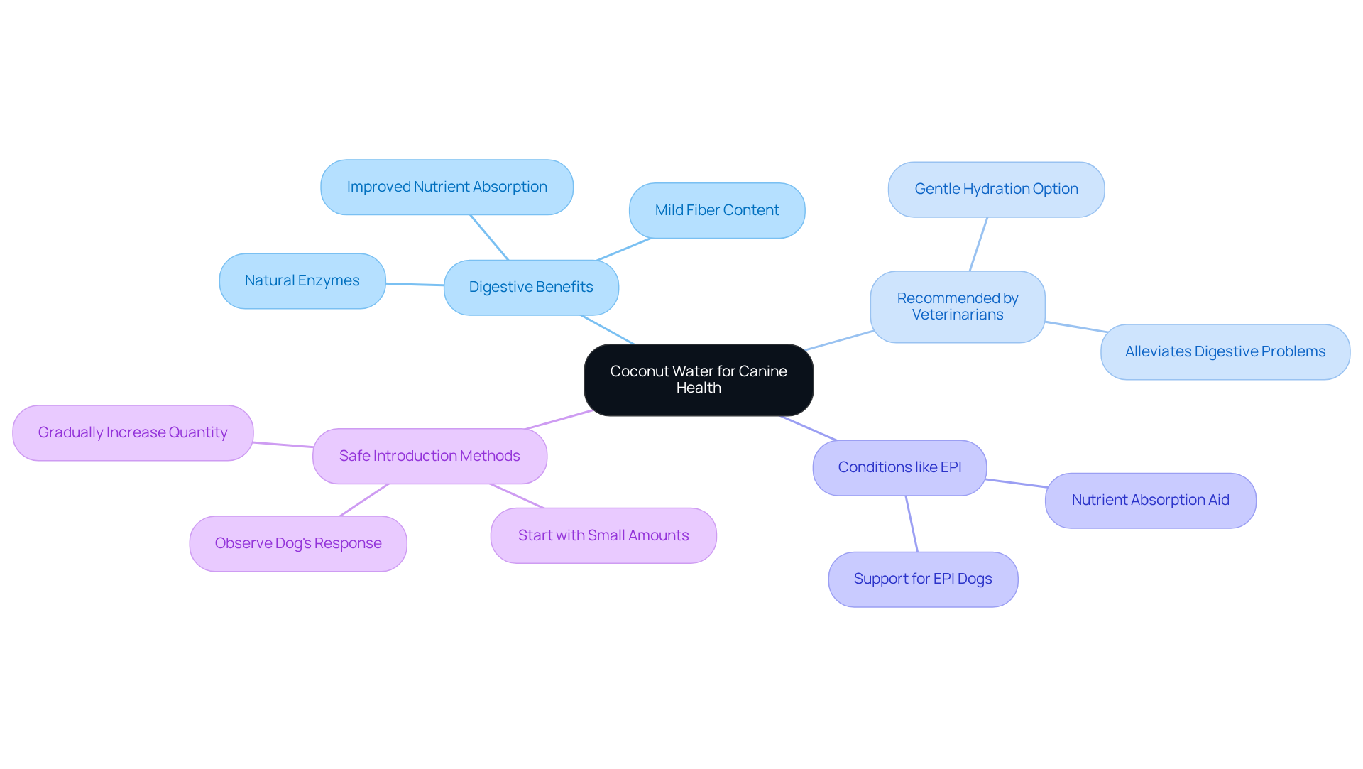 The central node represents the main idea, while branches show different benefits and considerations for introducing coconut water into your dog's diet. Each branch and sub-branch provides more detailed insights on how coconut water can support your dog's digestive health. The central node represents the main idea, while branches show different benefits and considerations for introducing coconut water into your dog's diet. Each branch and sub-branch provides more detailed insights on how coconut water can support your dog's digestive health.