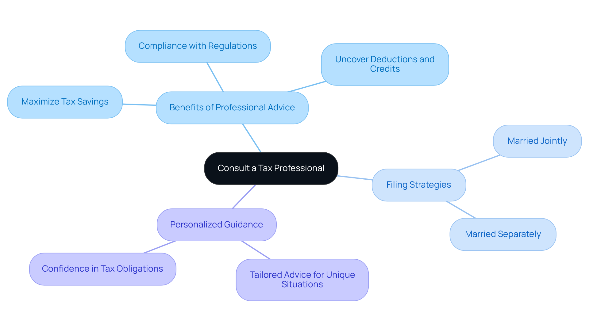 The central node represents the importance of consulting a tax professional, while the branches show the benefits and strategies available to families. Each color-coded branch helps you see how different aspects connect to the main idea.
